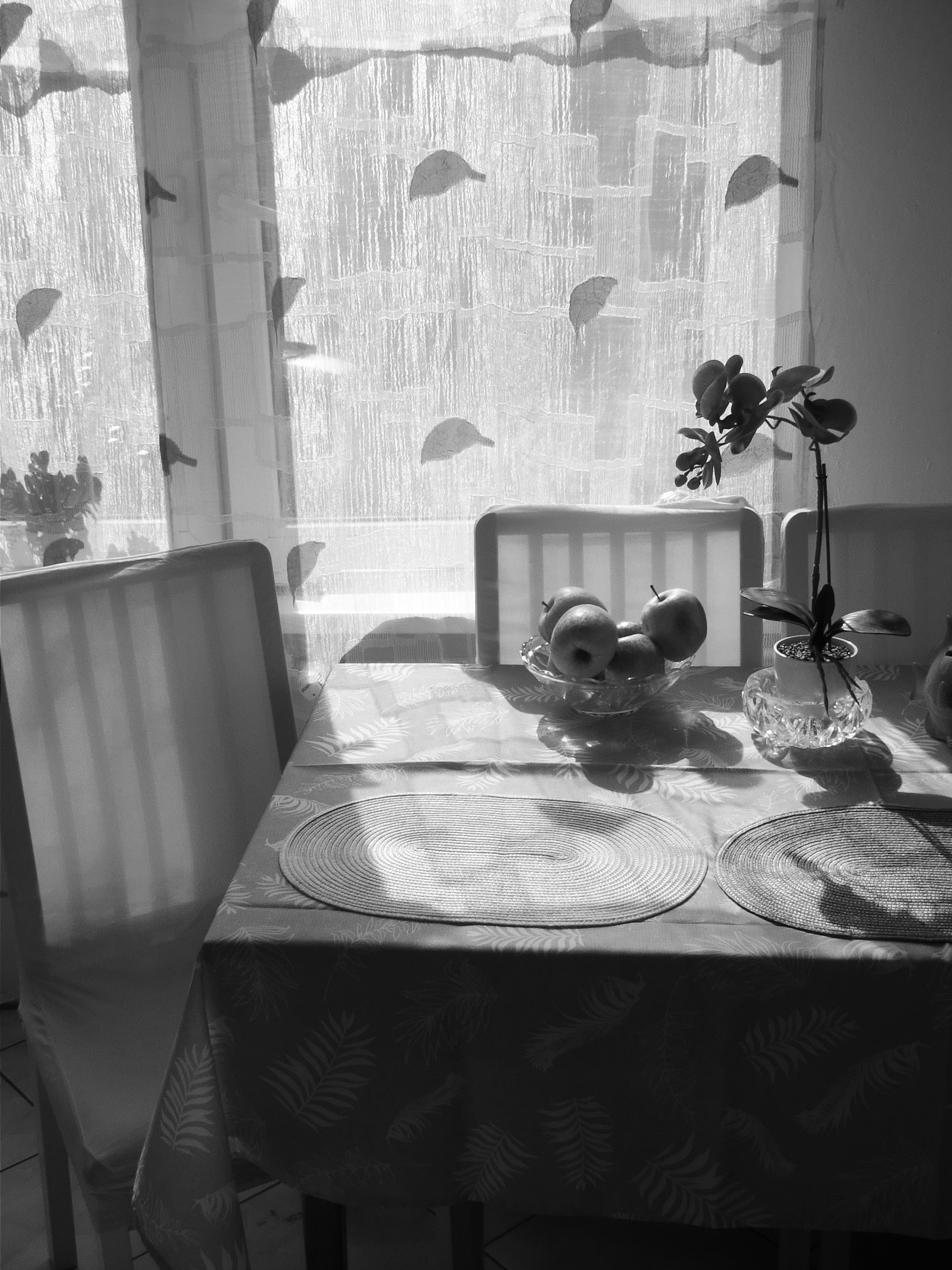 Black and White Sunlit Dining Table Scene · Free Stock Photo