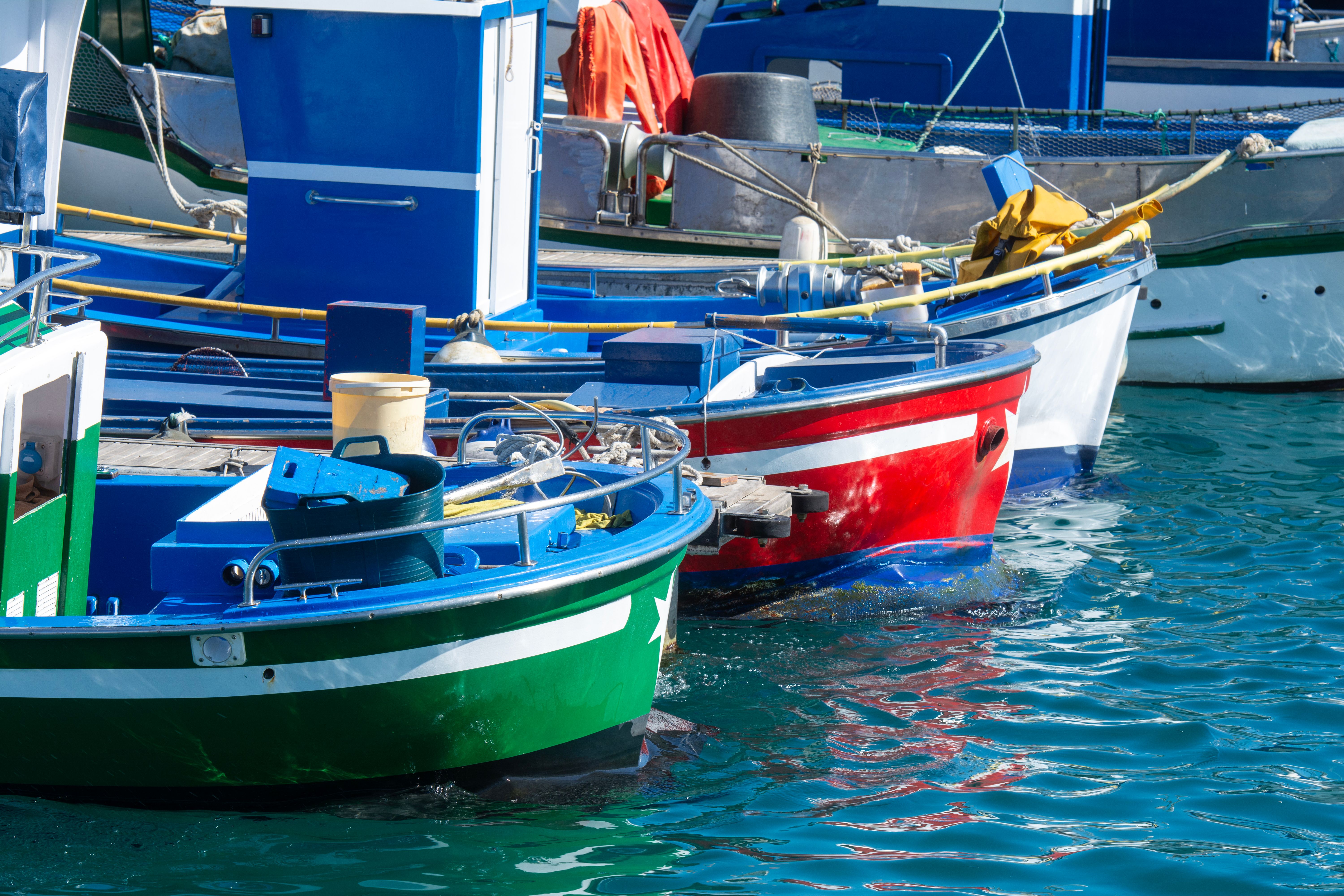 Colorful Fishing Boats Moored in a Harbor · Free Stock Photo