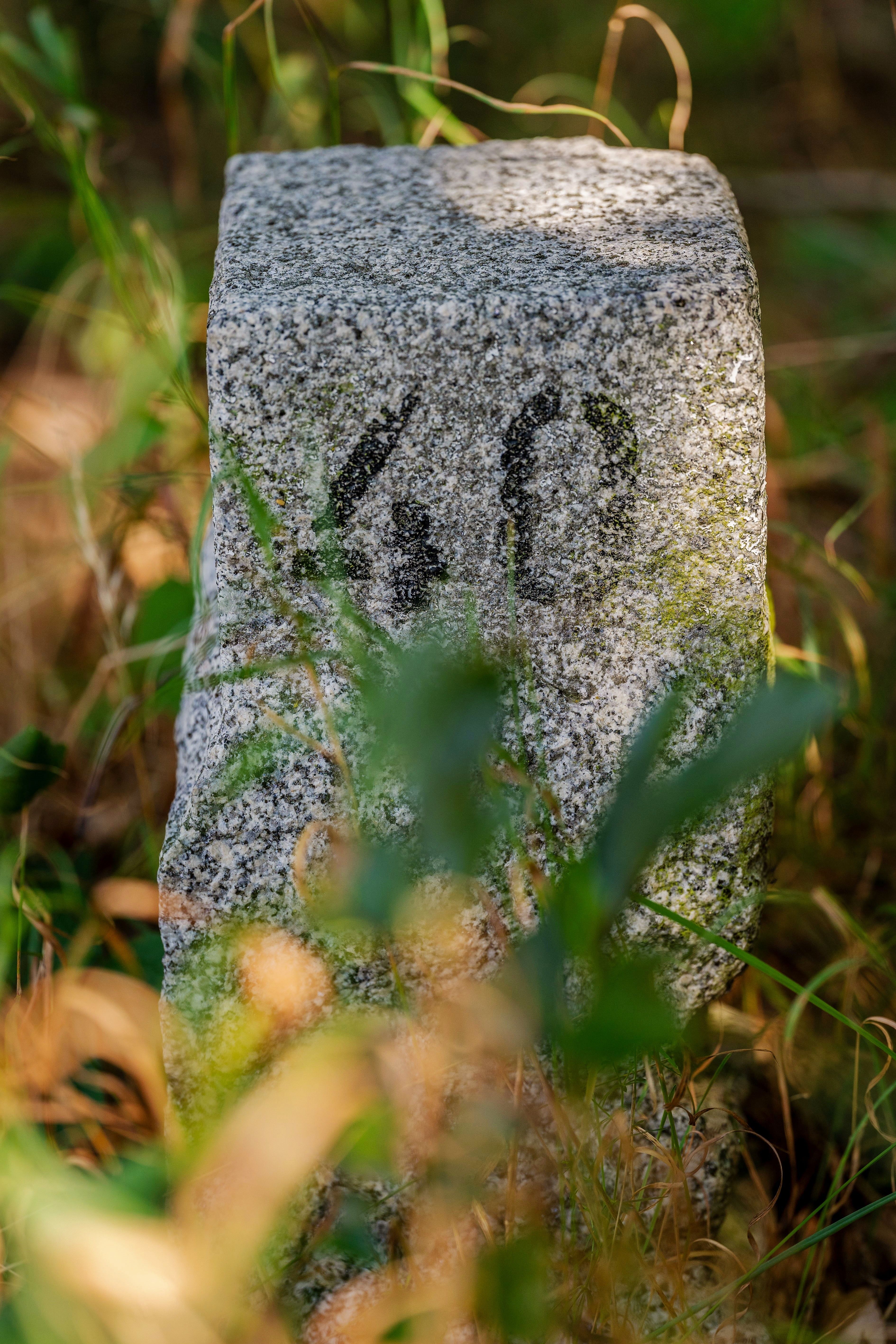 Historic Stone Border Marker with Number 40 · Free Stock Photo