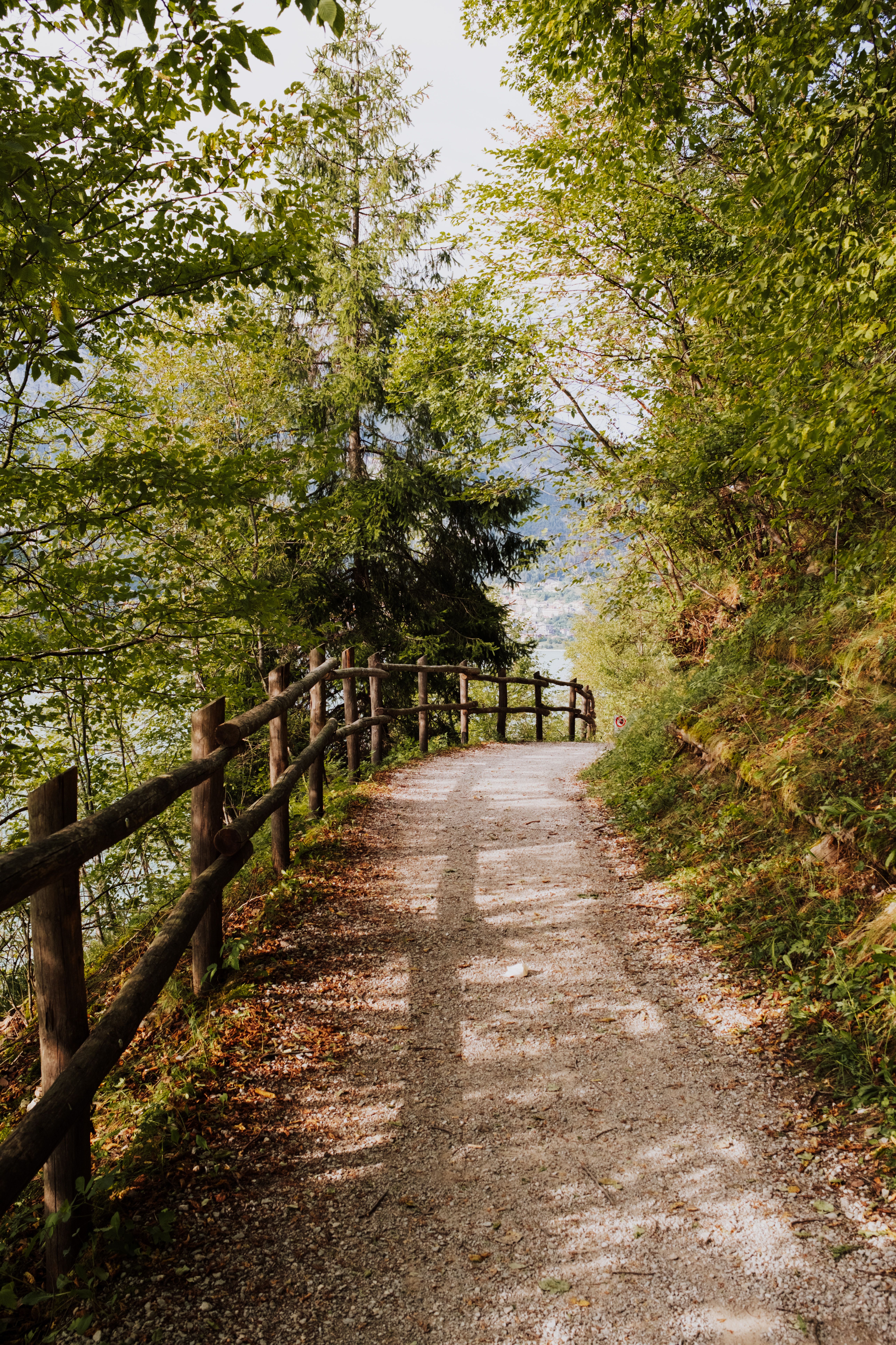 Scenic Pathway in Molveno, Italy's Forest · Free Stock Photo