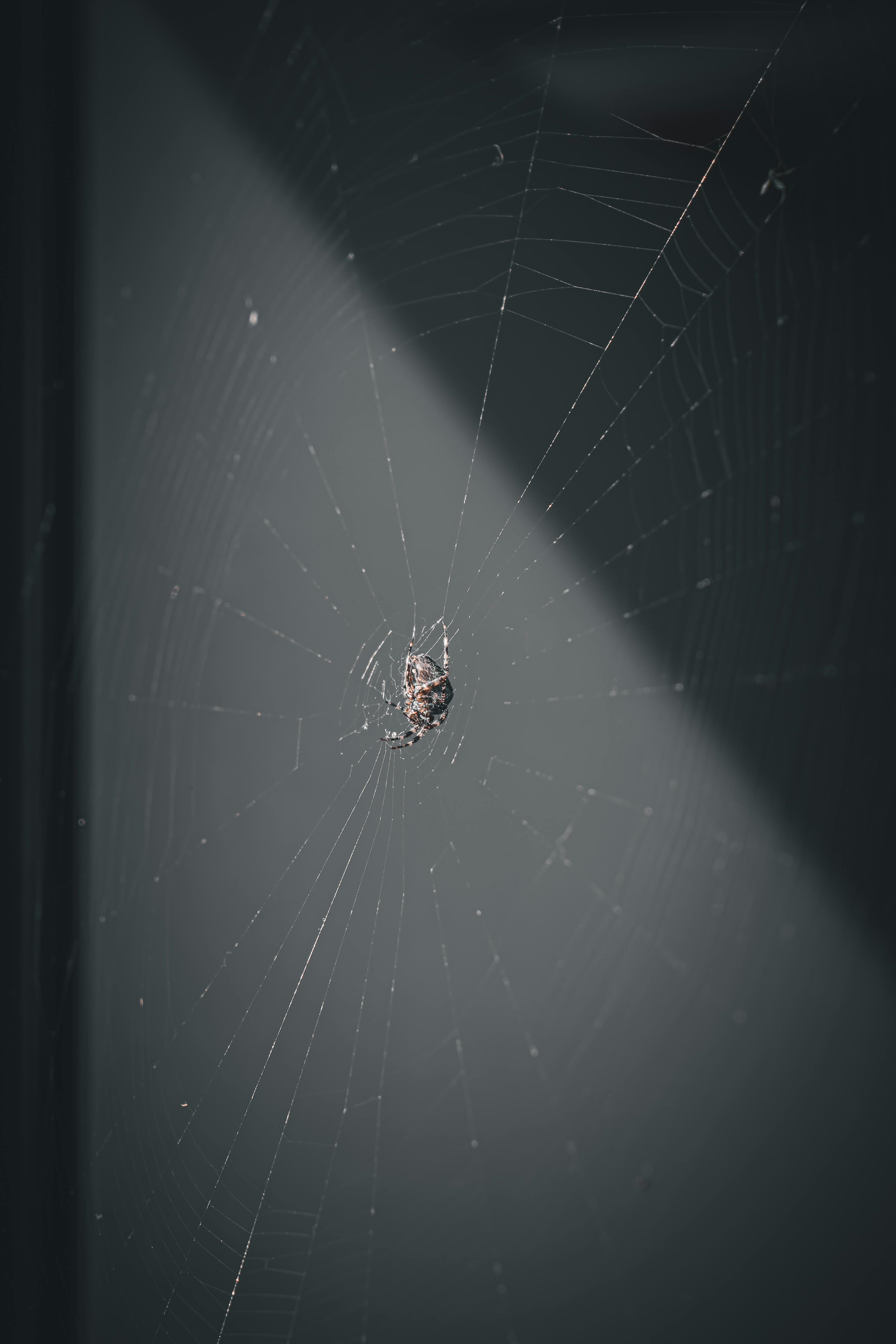 Protein Structure Photos, Download The BEST Free Protein Structure ...