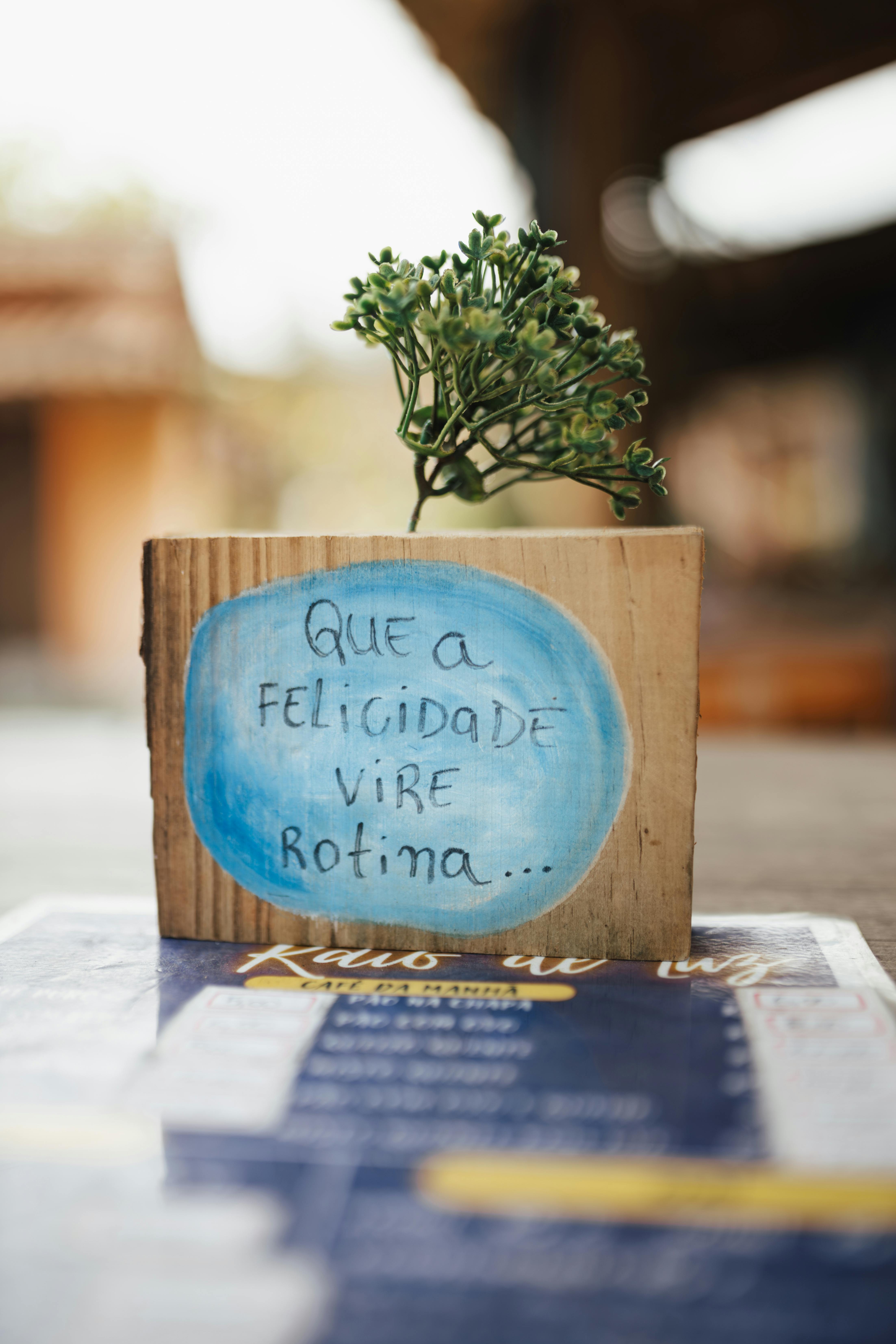Three Wooden Signage in a Tree Close-up Photography · Free Stock Photo