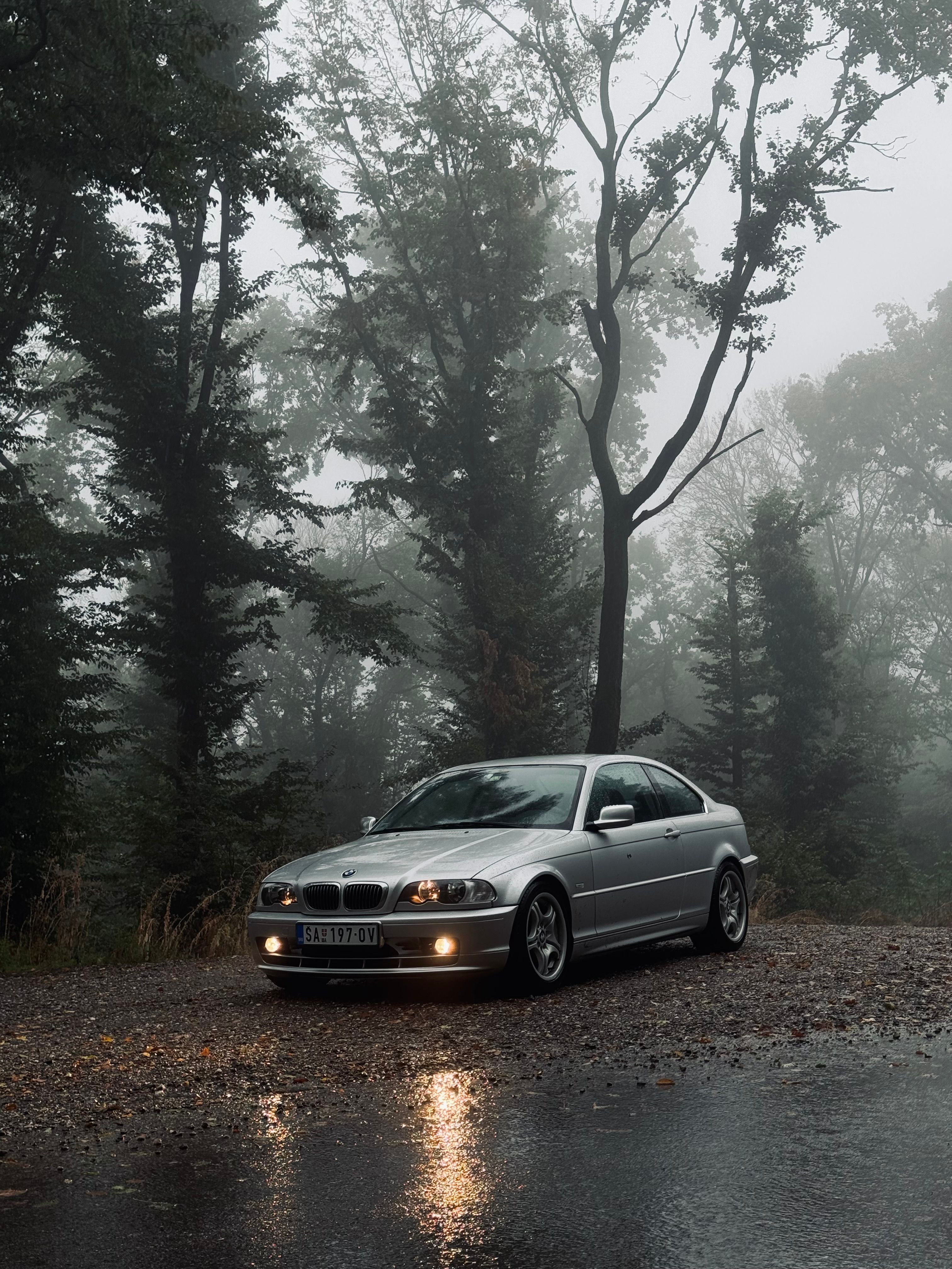Silver BMW E46 Against Misty Forest Backdrop · Free Stock Photo
