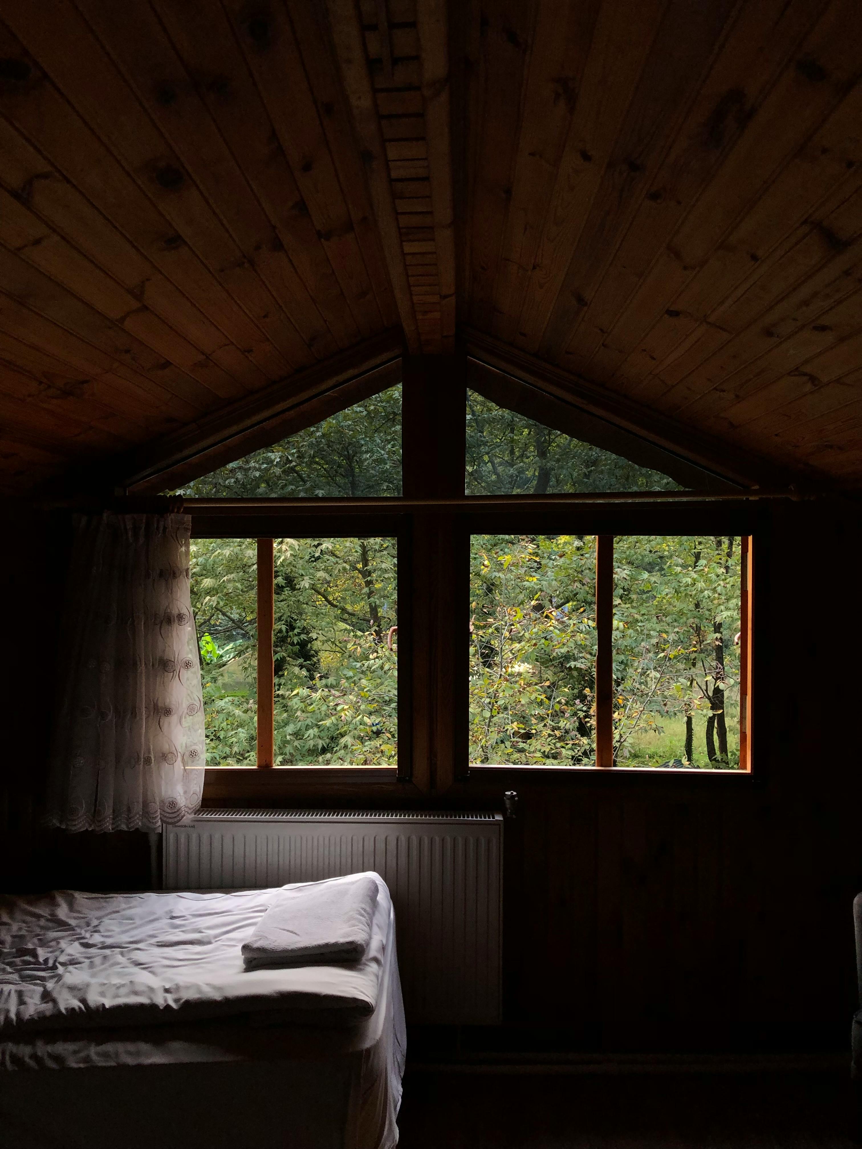 Cozy Cabin Room with Forest View Through Window · Free Stock Photo