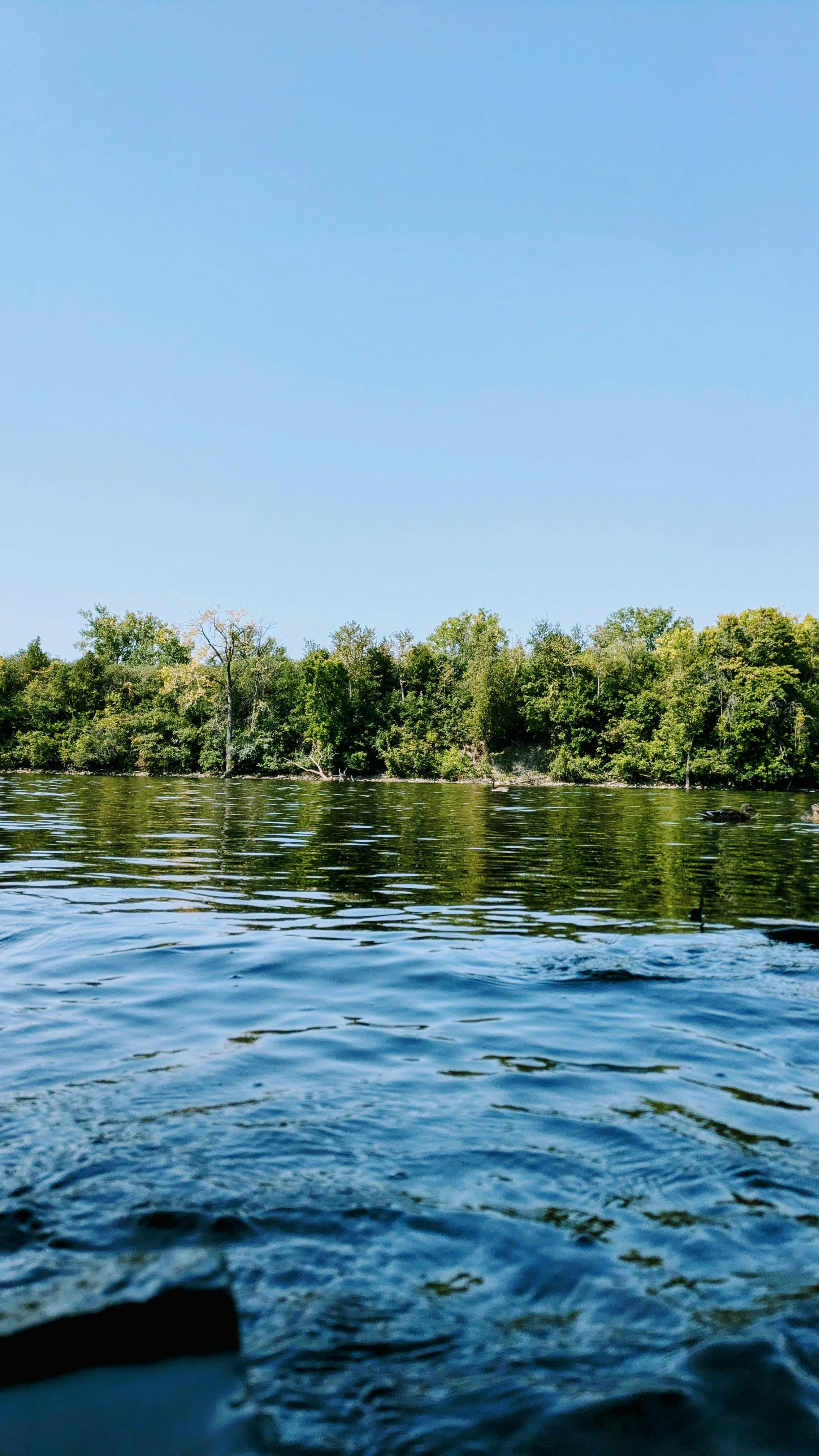 Tranquil Forest River Reflection Scene · Free Stock Photo