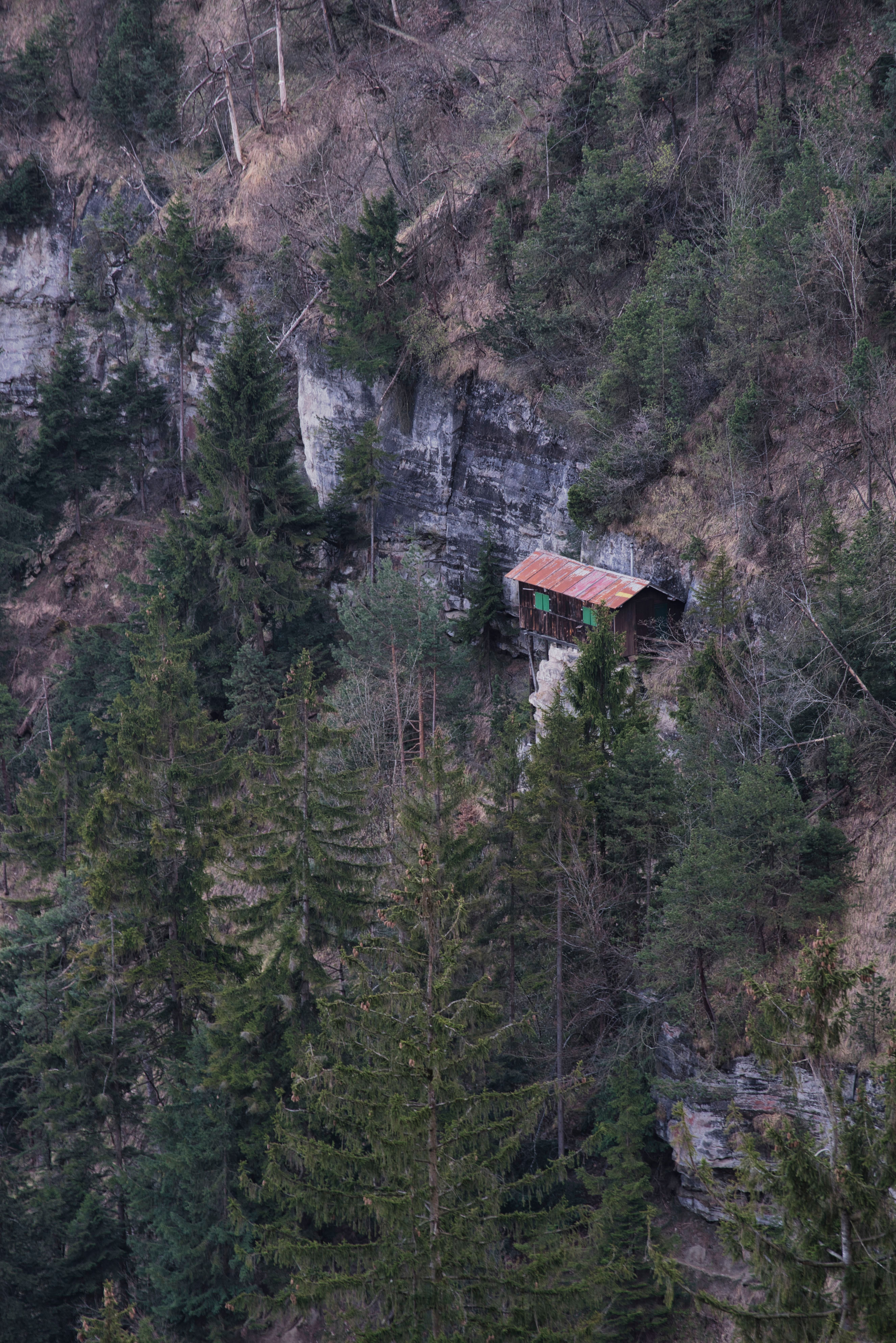 Remote Rustic Cabin Amidst Mountainous Forest · Free Stock Photo