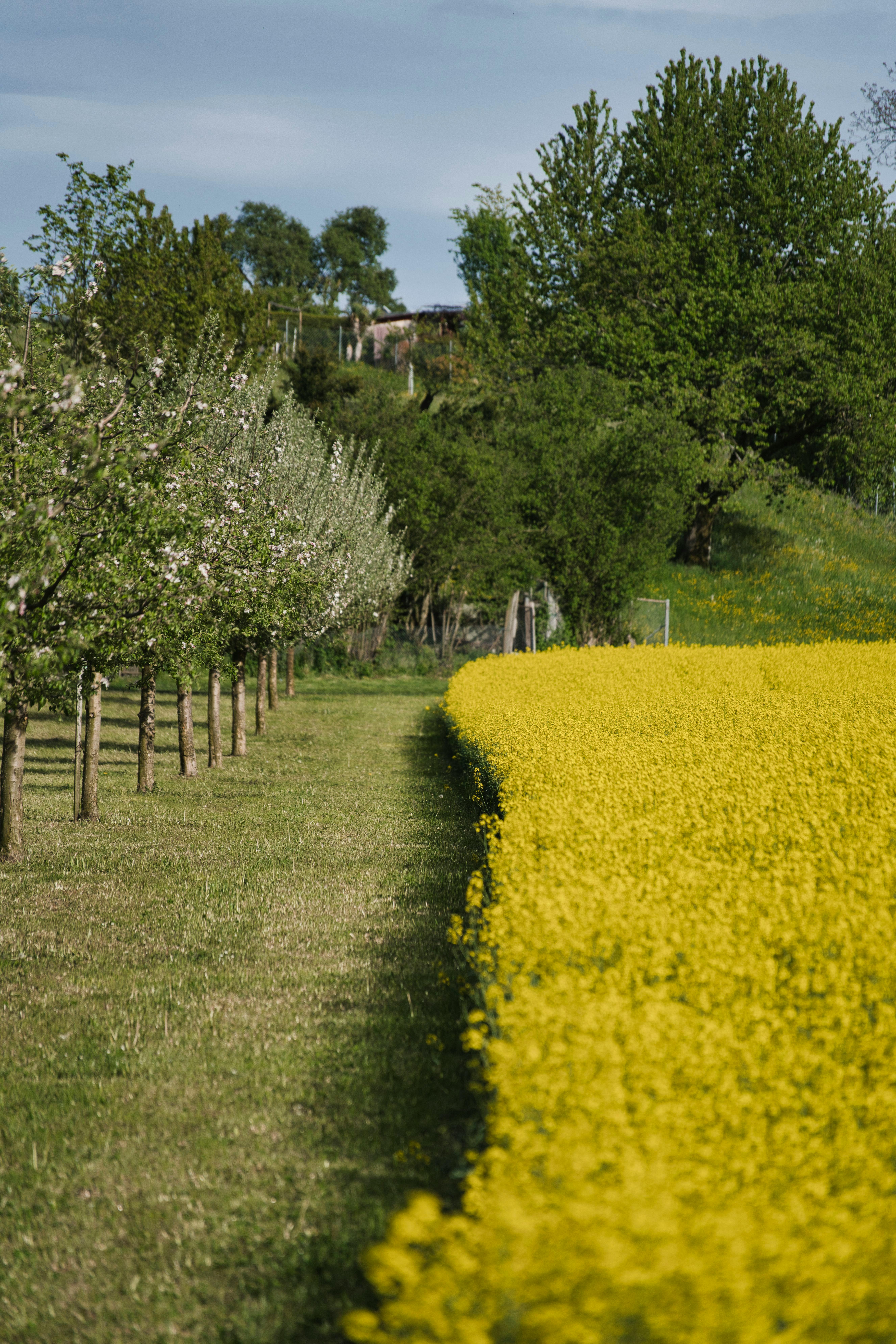 Diversified Farming Photos, Download The BEST Free Diversified Farming ...