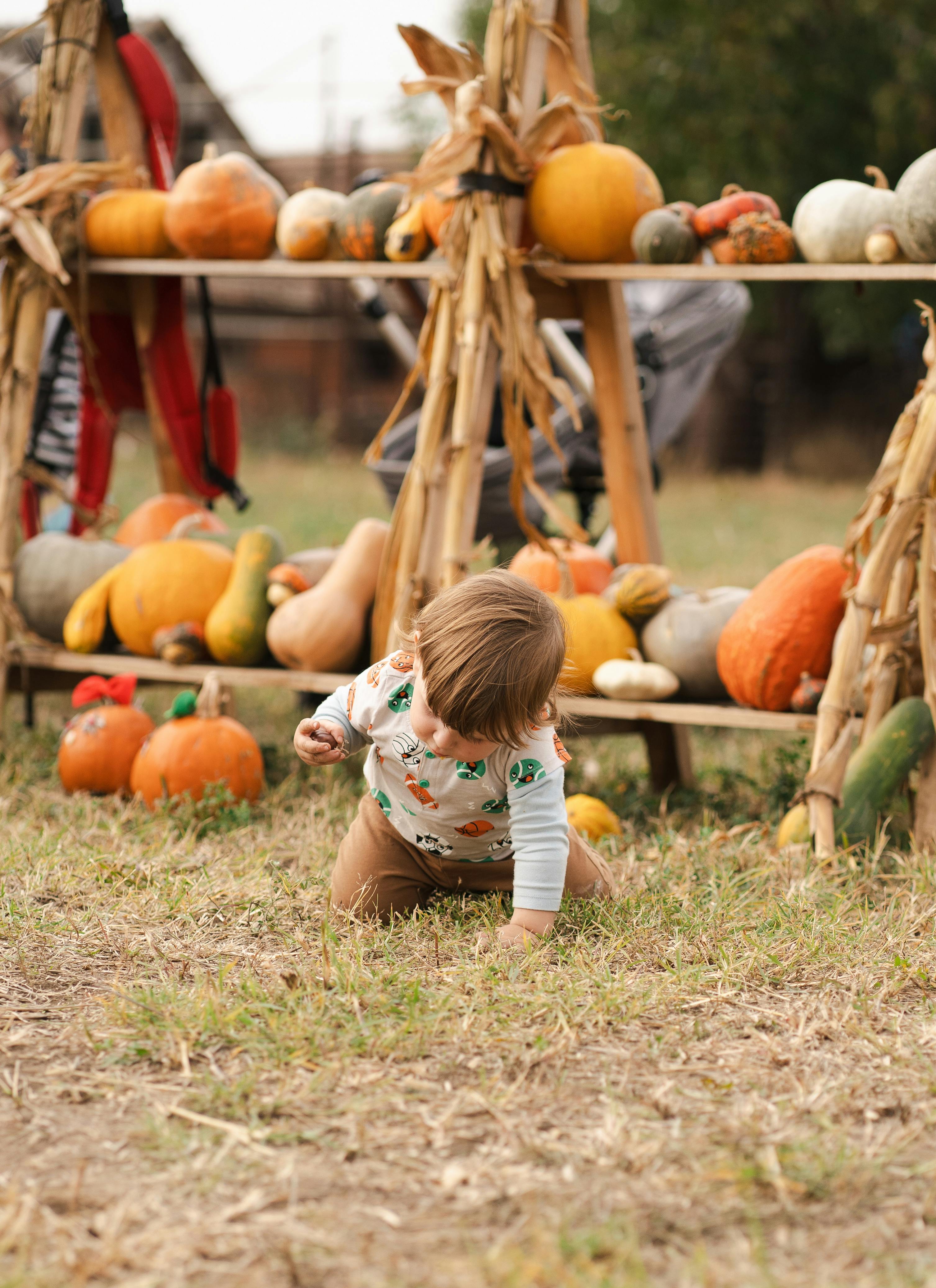 Adorable Baby Exploring Autumn Pumpkin Patch · Free Stock Photo