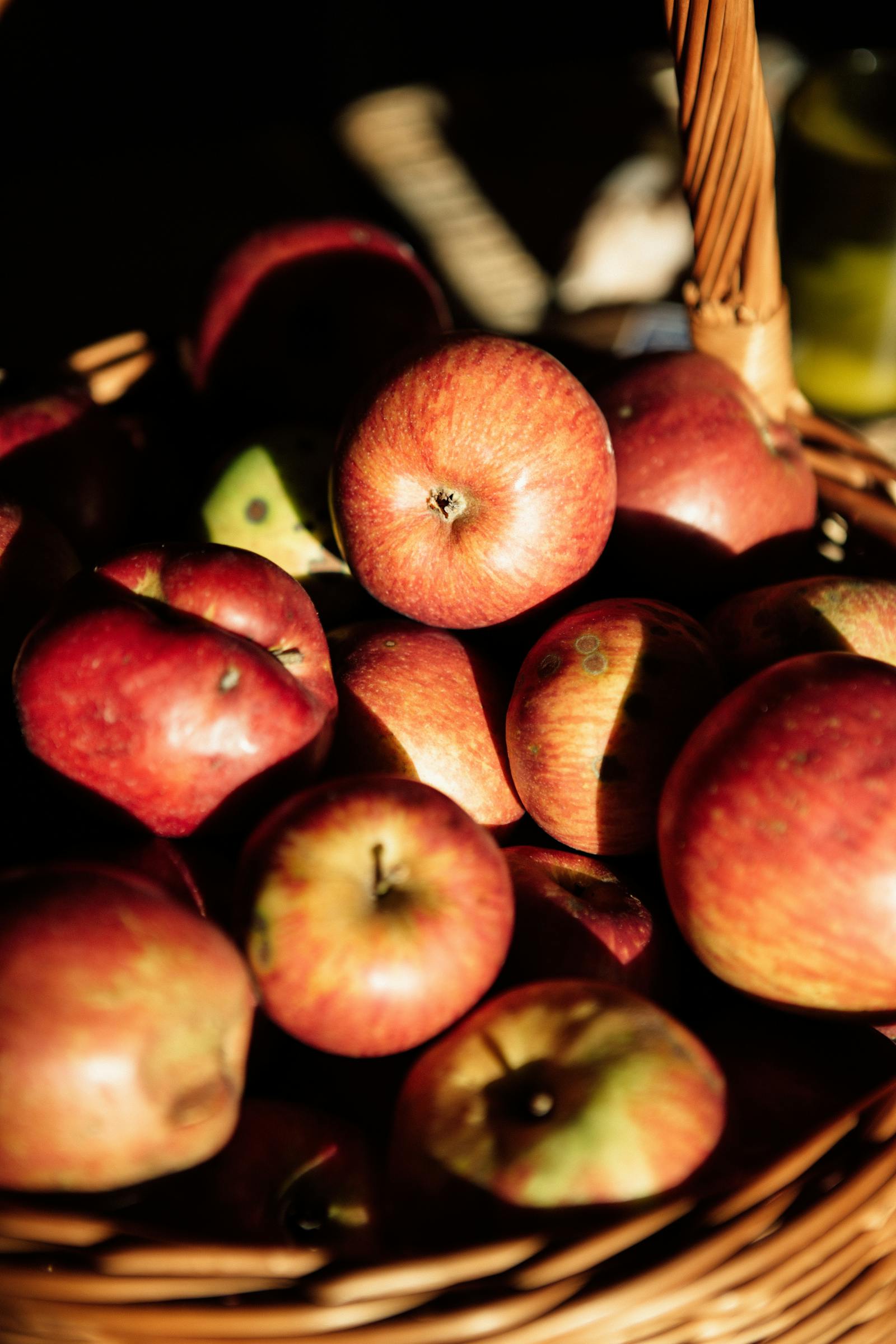 Apples Images Photos, Download The BEST Free Apples Images Stock Photos ...