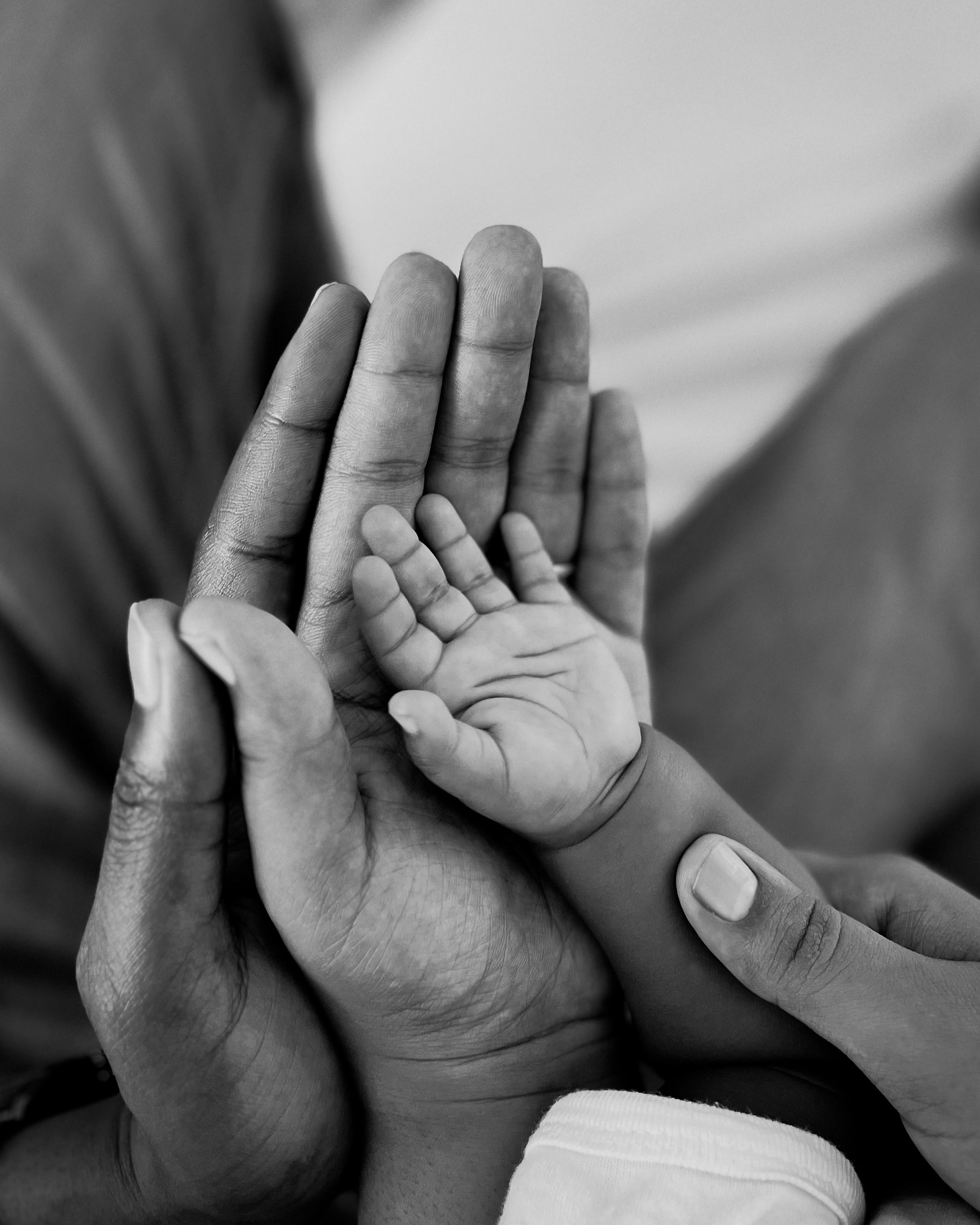 Primer Plano De La Mano De Un Bebé En Manos De Un Adulto En Blanco Y ...