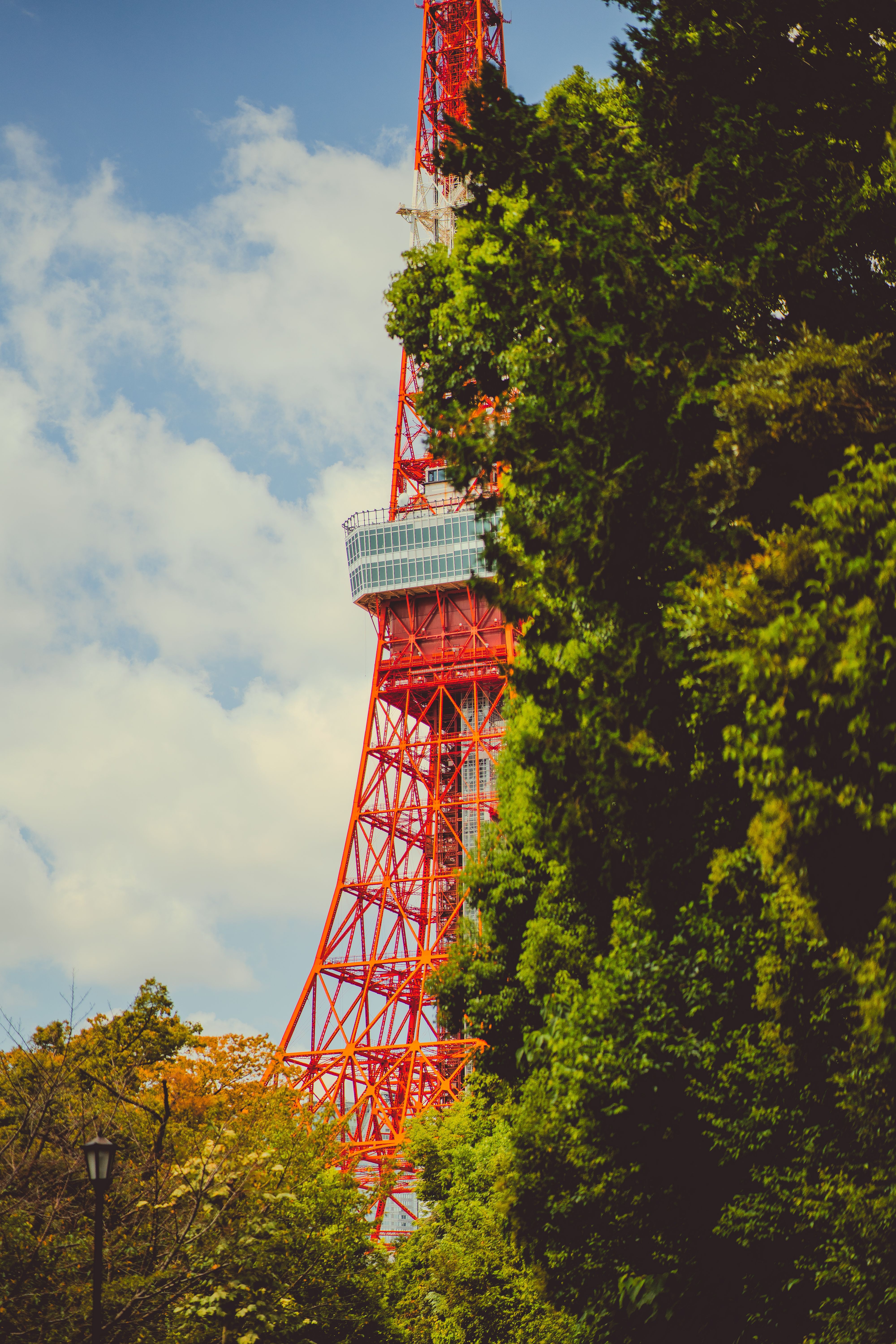 Tokyo Tower Framed by Trees Under Blue Sky · Free Stock Photo