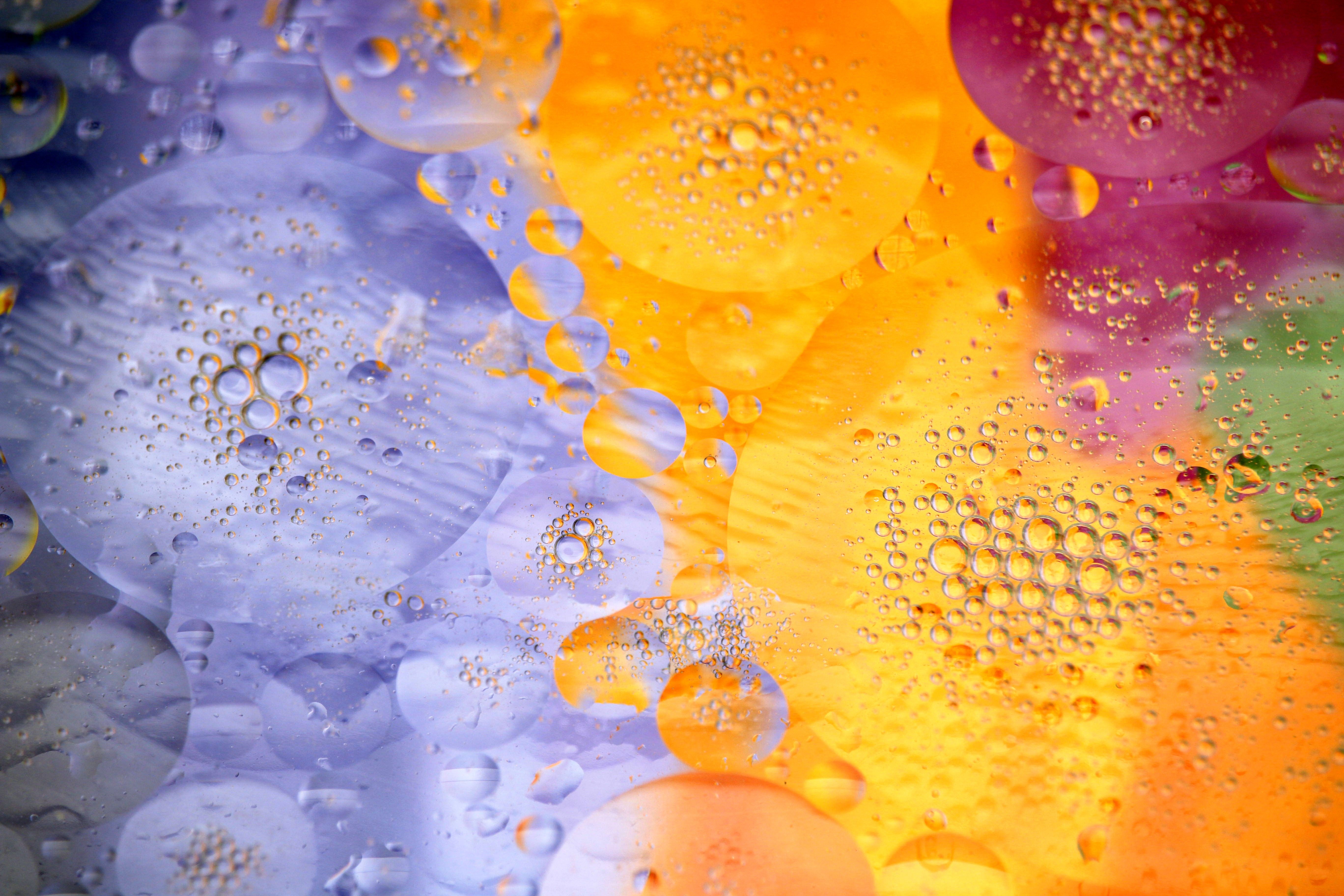 Abstract Colorful Oil and Water Bubble Art · Free Stock Photo