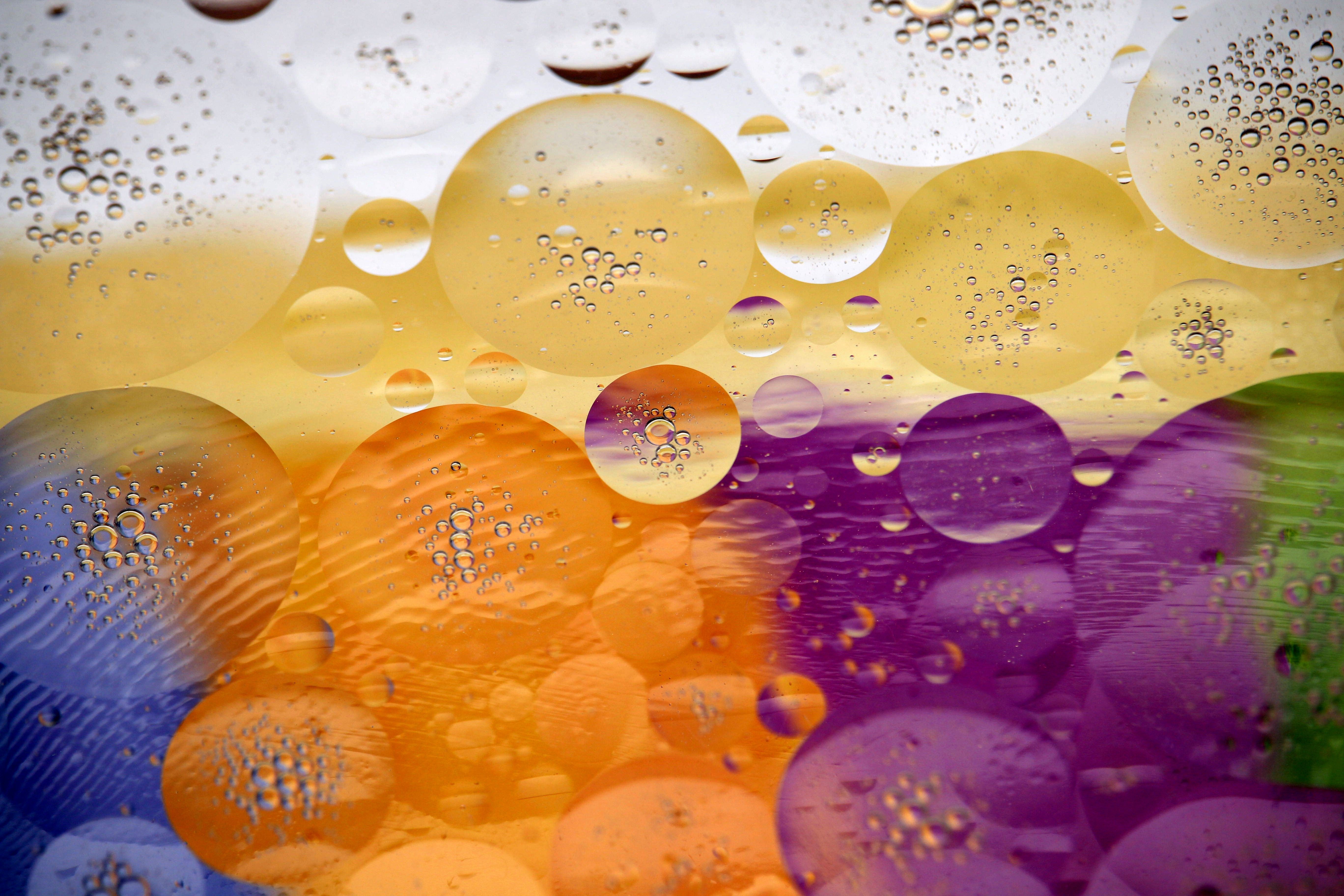 Colorful Oil and Water Abstract Close-Up · Free Stock Photo