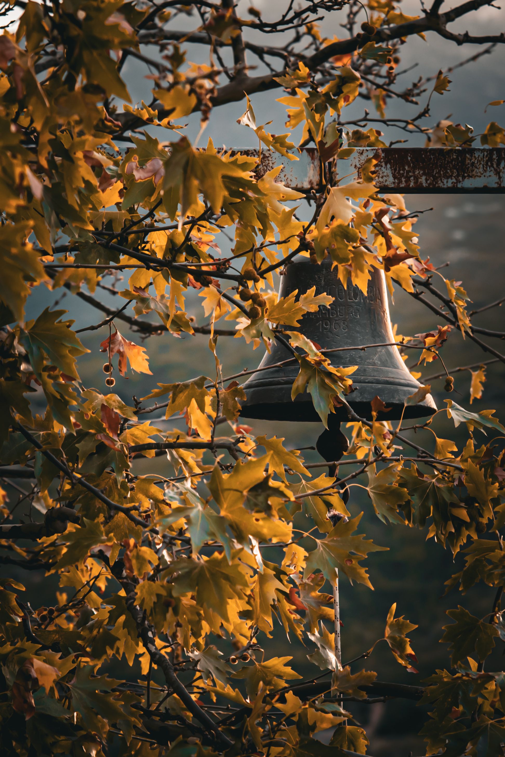 Bell Amidst Autumn Leaves on Rustic Frame · Free Stock Photo