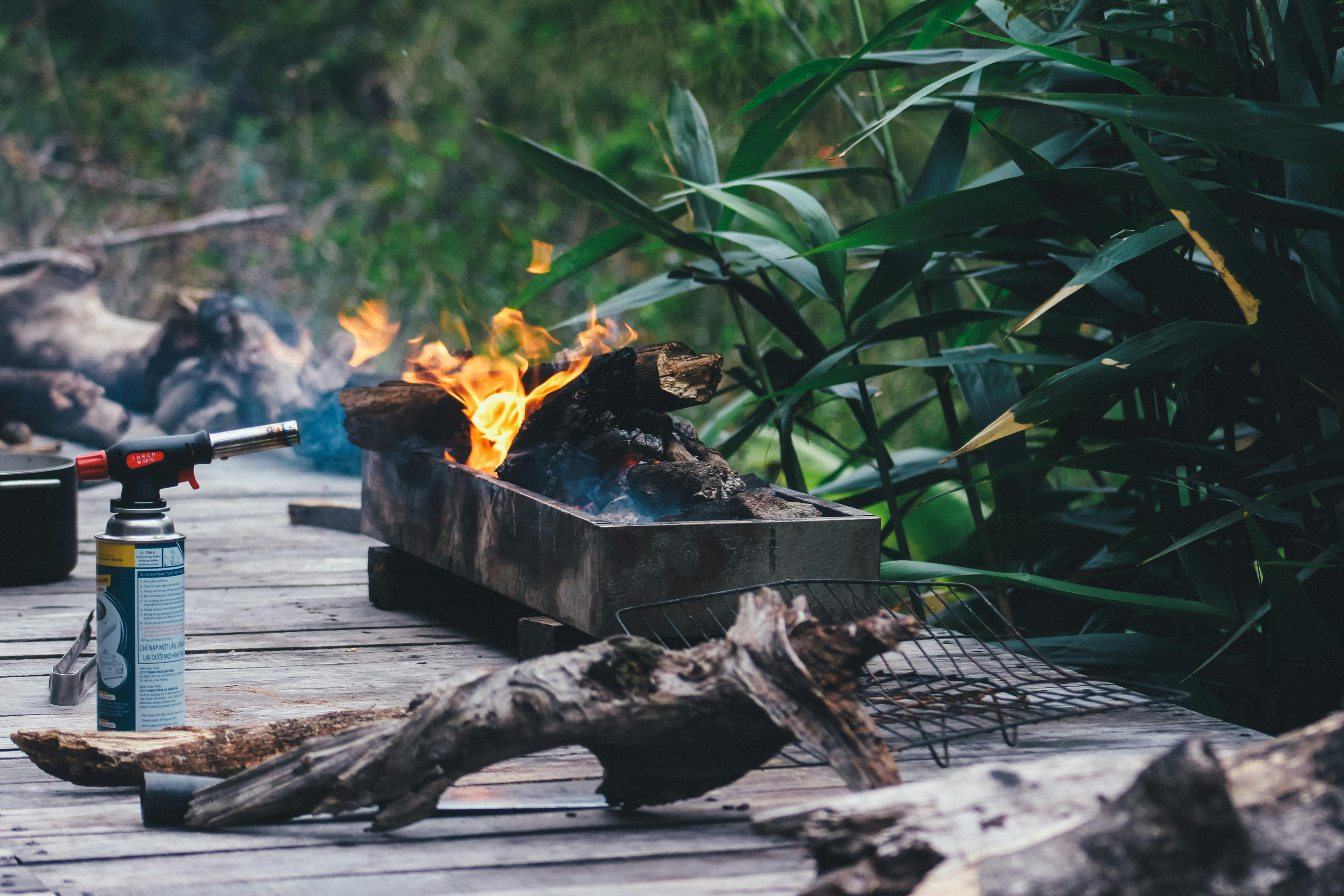 Outdoor Barbecue with Flamethrower · Free Stock Photo