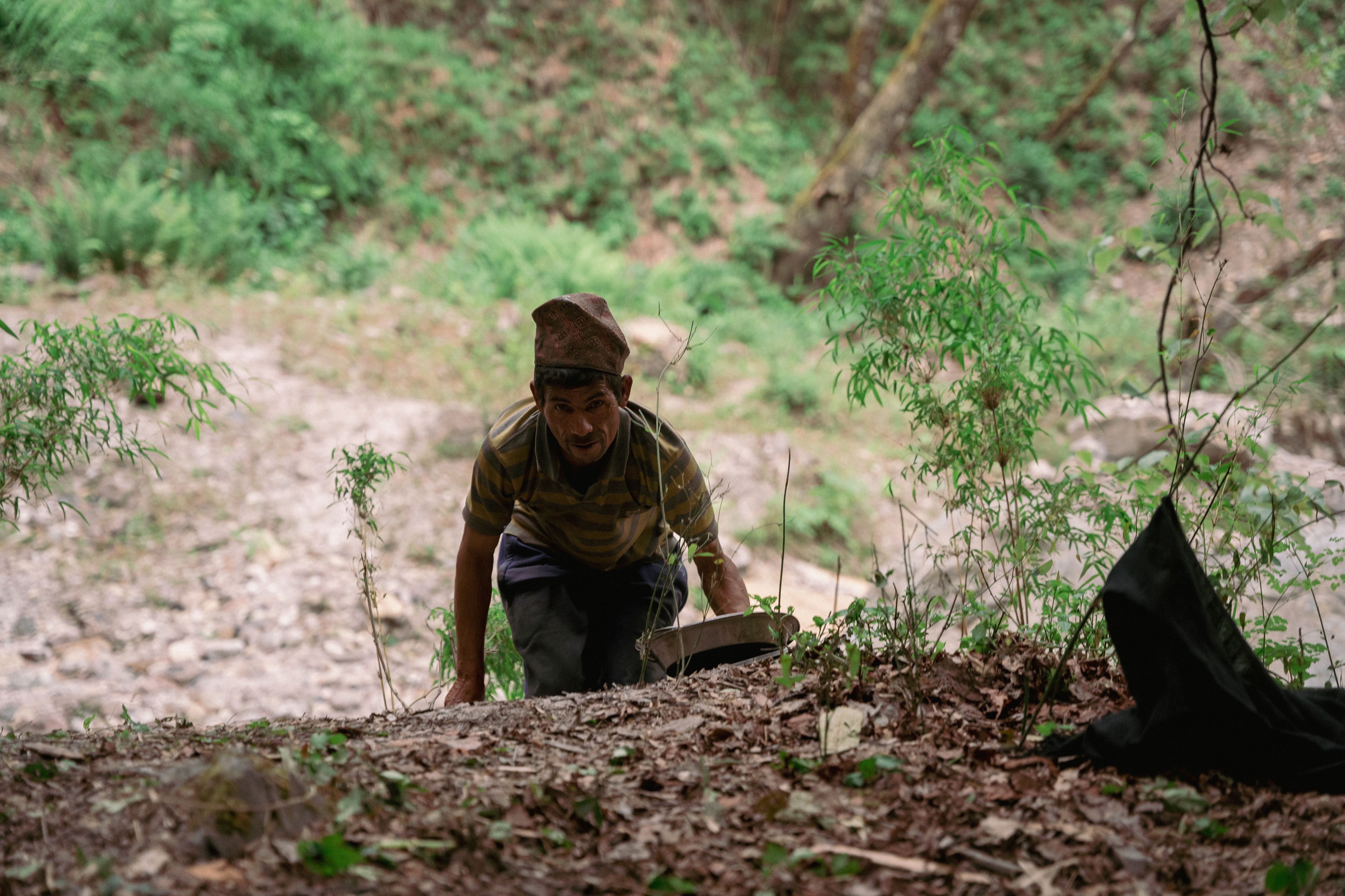 Man Climbing Hill in Verdant Forest Landscape · Free Stock Photo