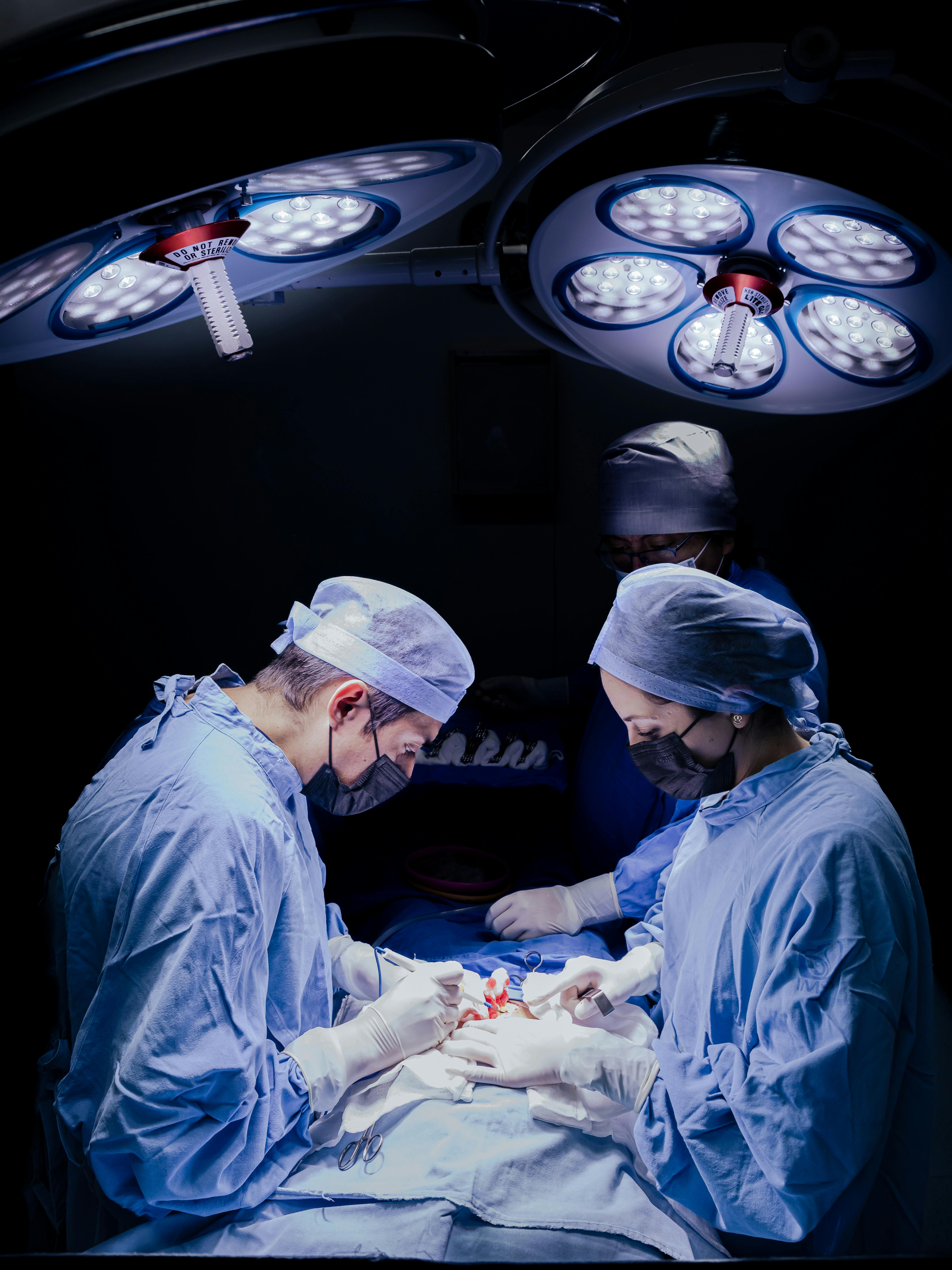 Doctor Operating a Patient · Free Stock Photo