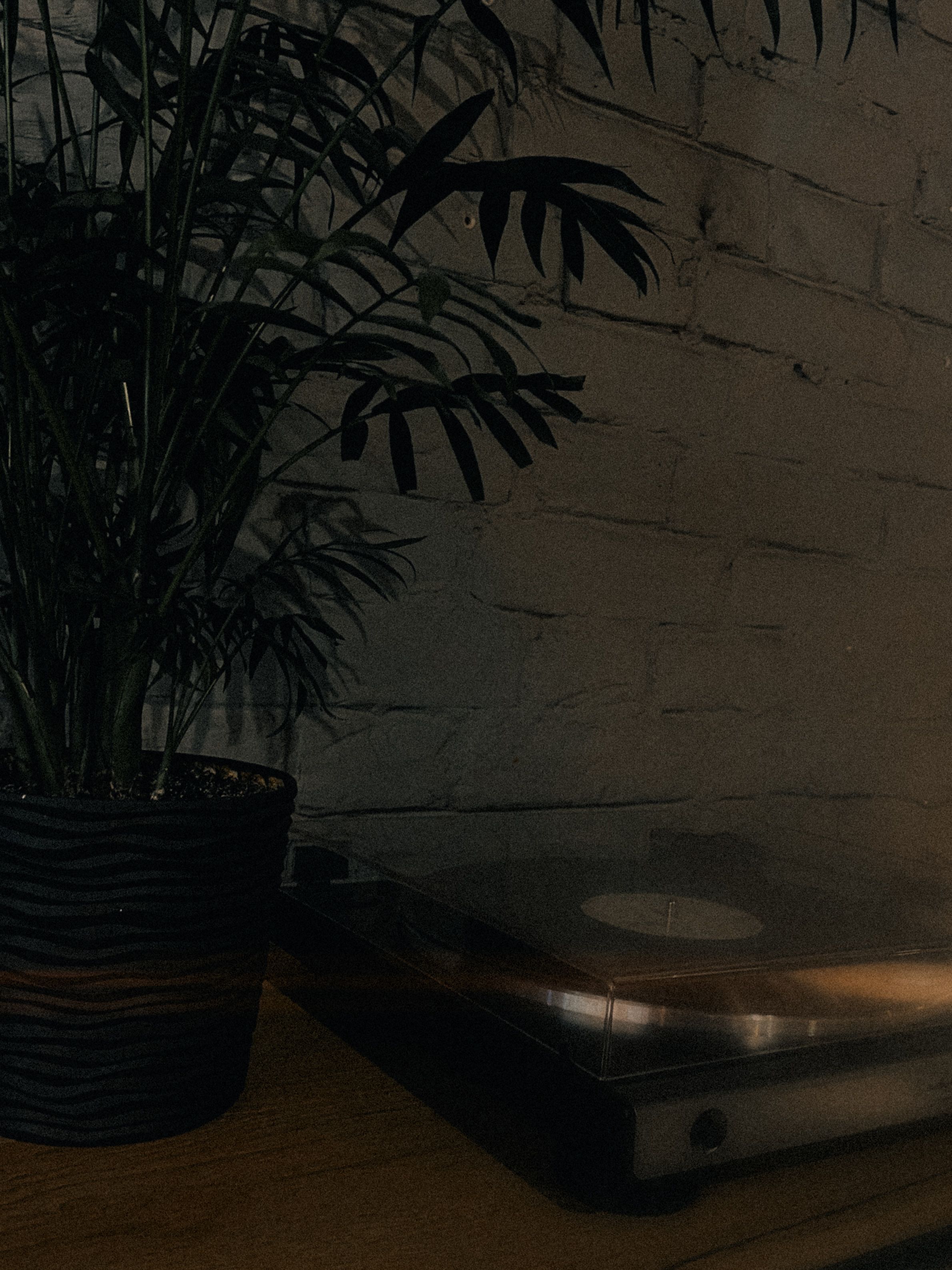 Indoor Vinyl Record Player and Plant Setup · Free Stock Photo