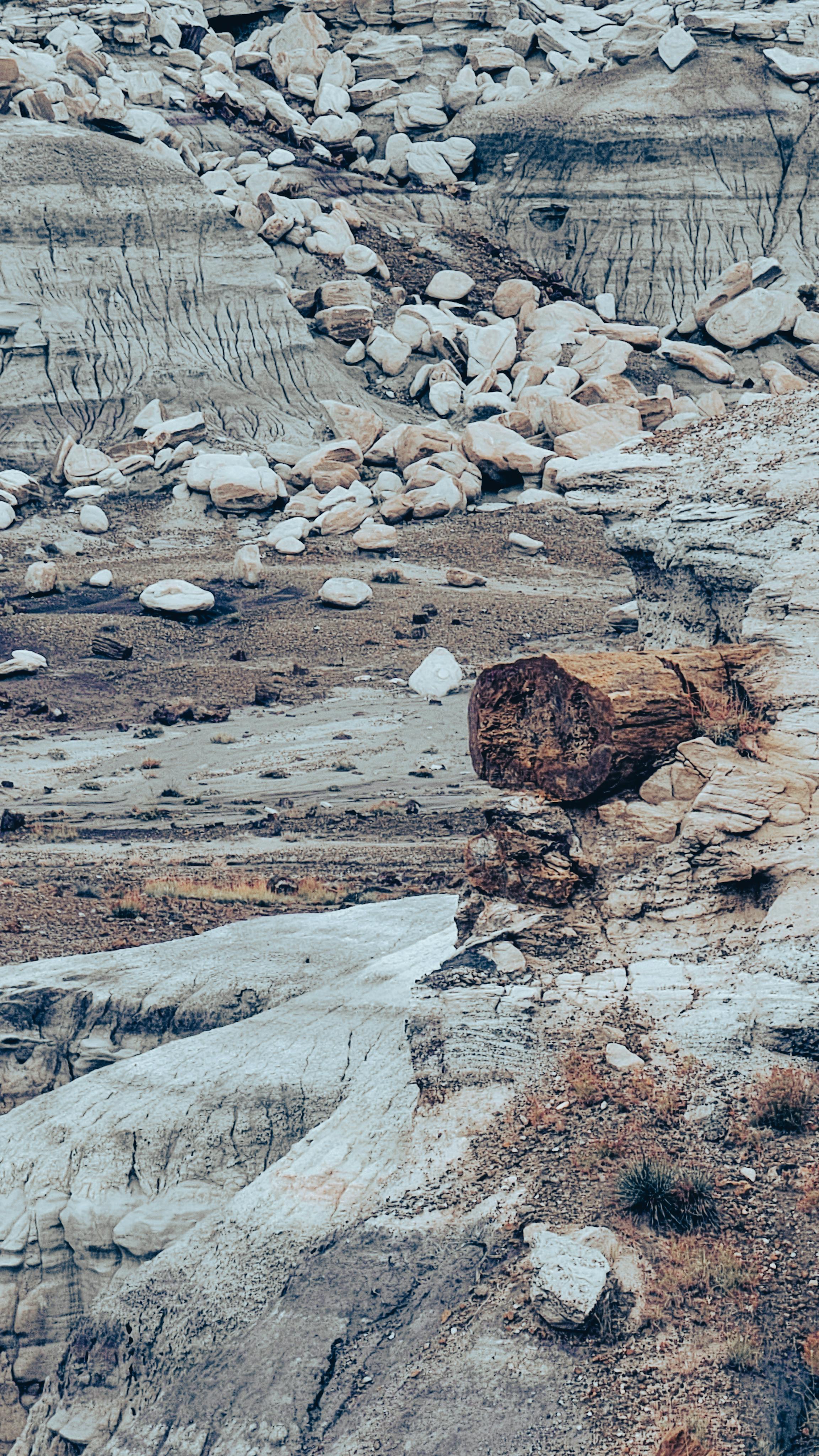 Detailed Rocky Landscape with Eroded Strata · Free Stock Photo