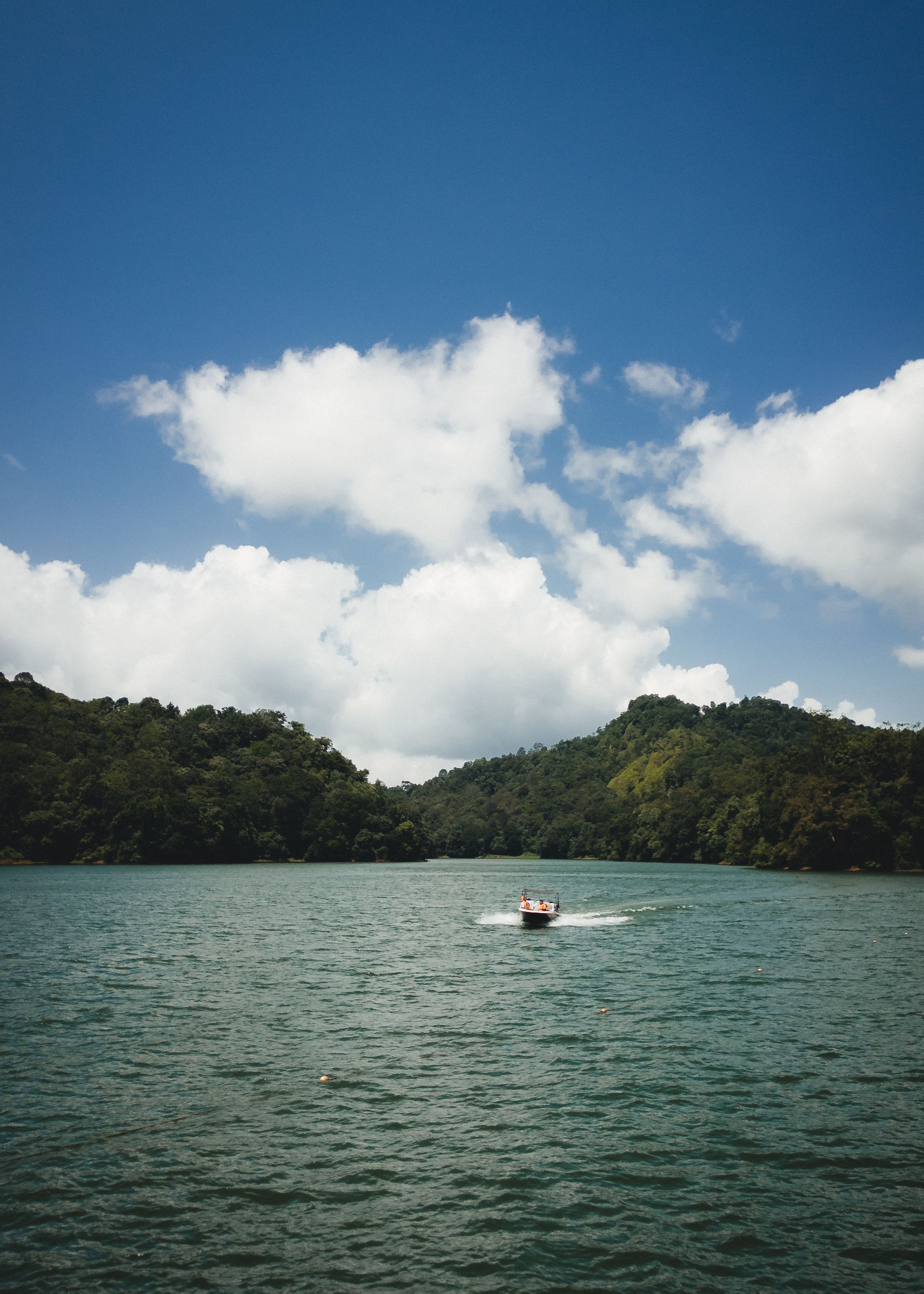 Scenic Boat on Ponmudi Dam in Kerala, India · Free Stock Photo