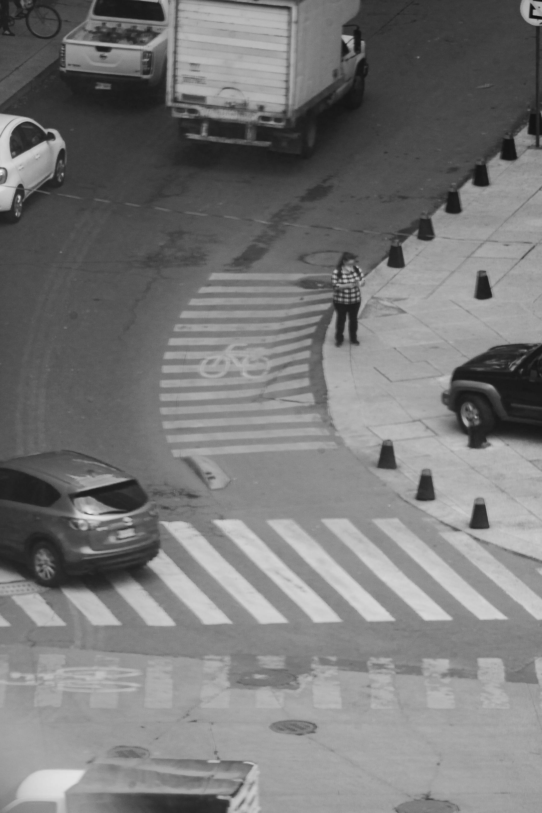 Busy Crosswalk in Ciudad de México Street Scene · Free Stock Photo