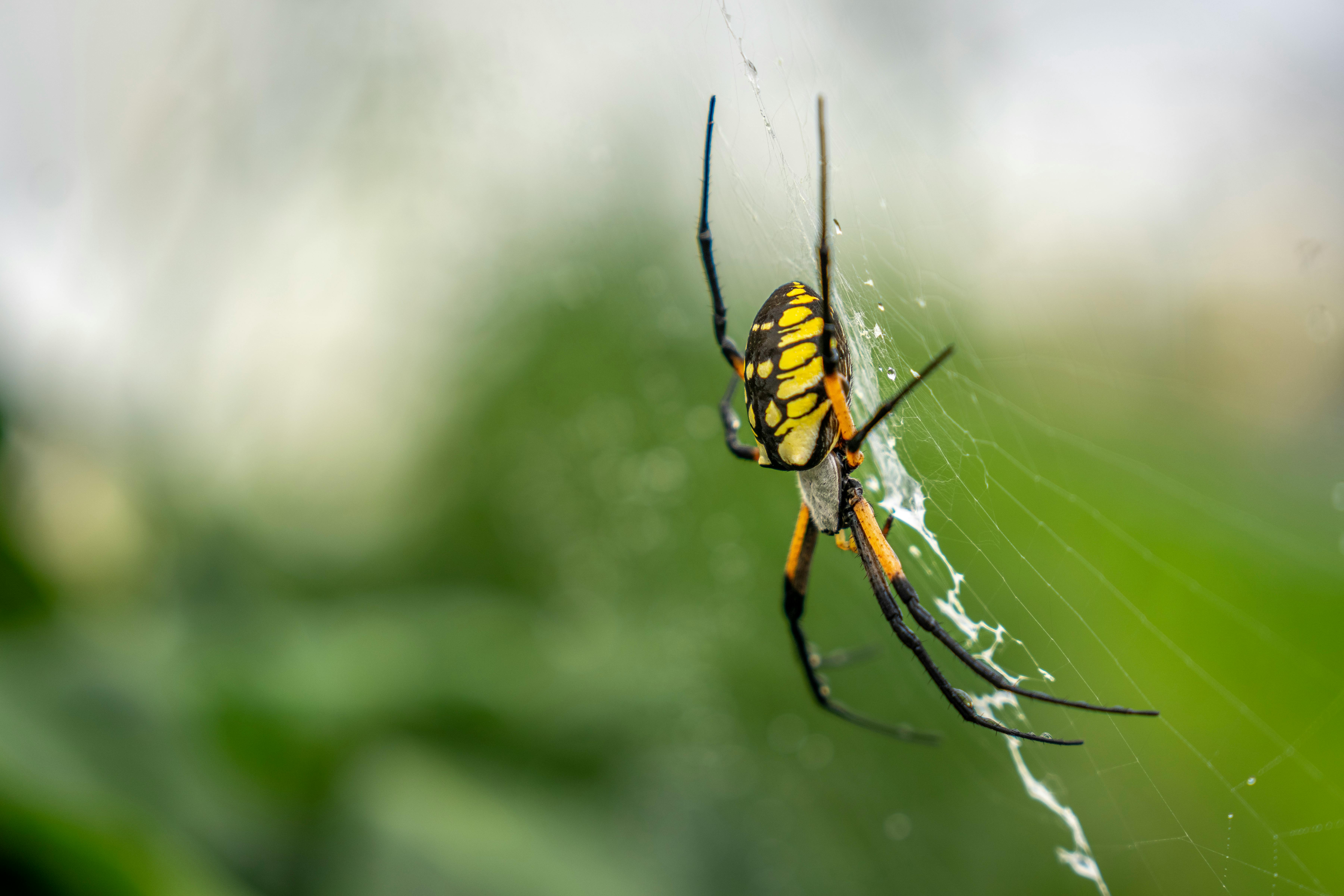 Leg Cling Photos, Download The BEST Free Leg Cling Stock Photos & HD Images