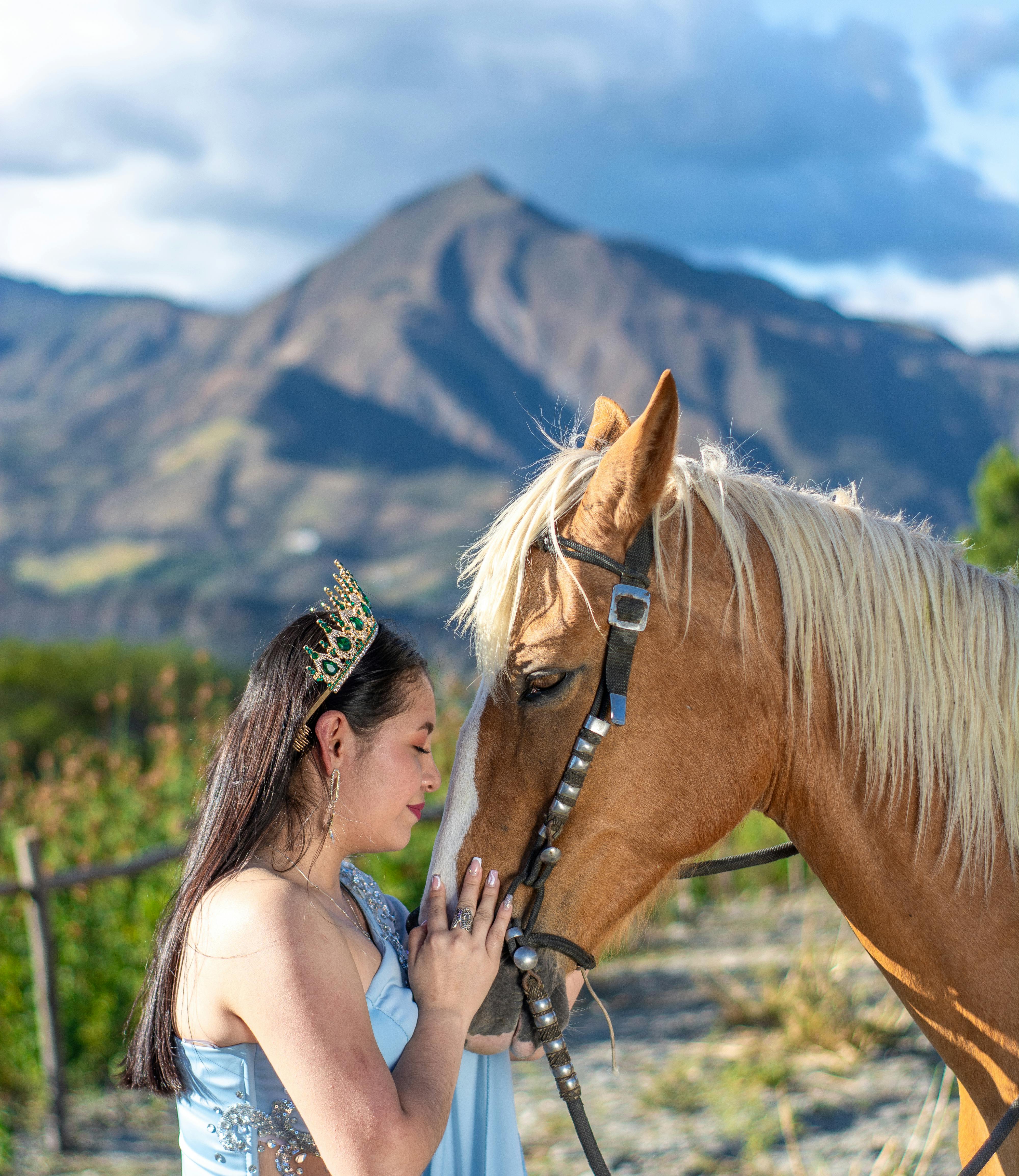 Harly Queen Photos, Download The BEST Free Harly Queen Stock Photos ...