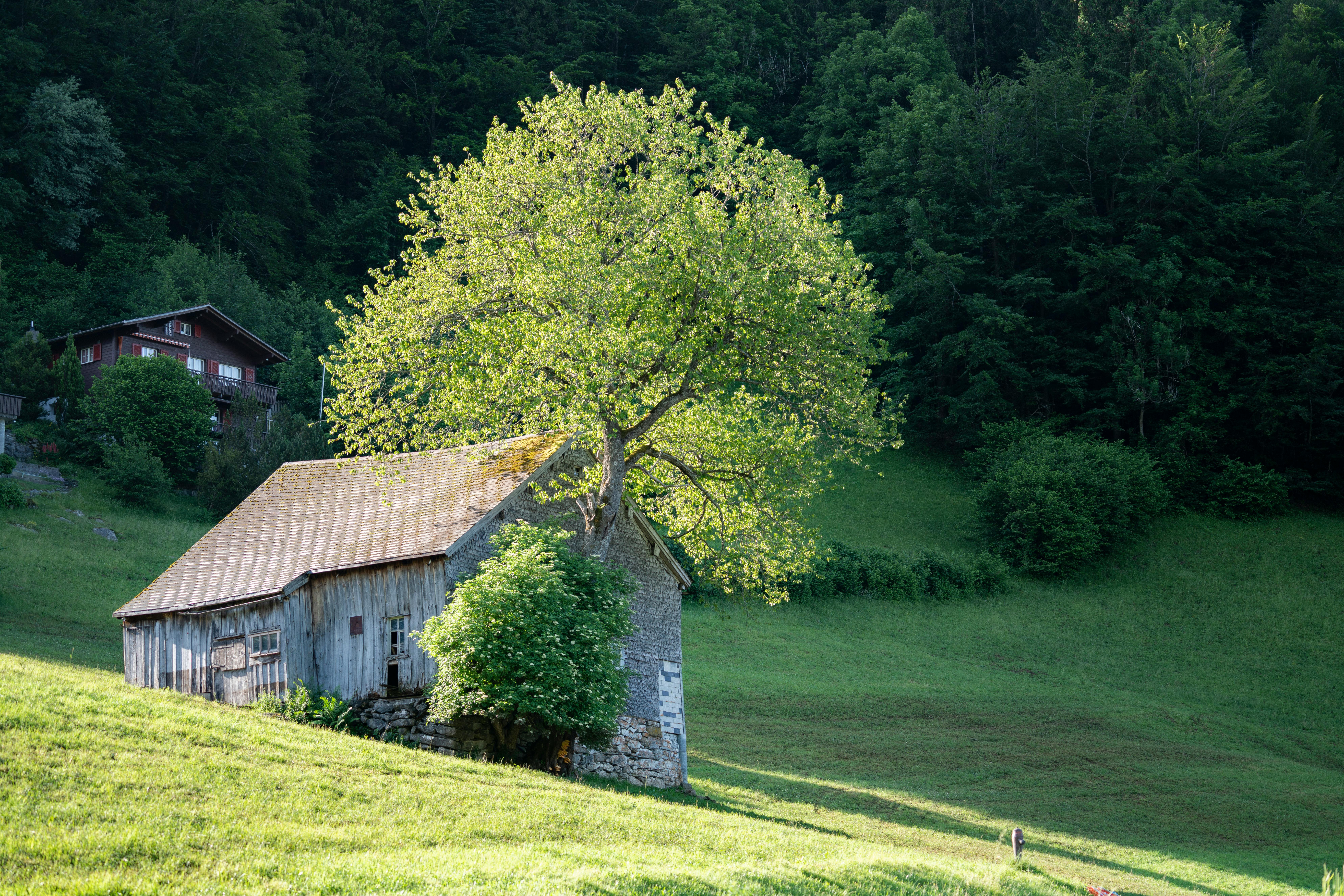 Scenic Rustic Barn on Lush Green Hillside · Free Stock Photo