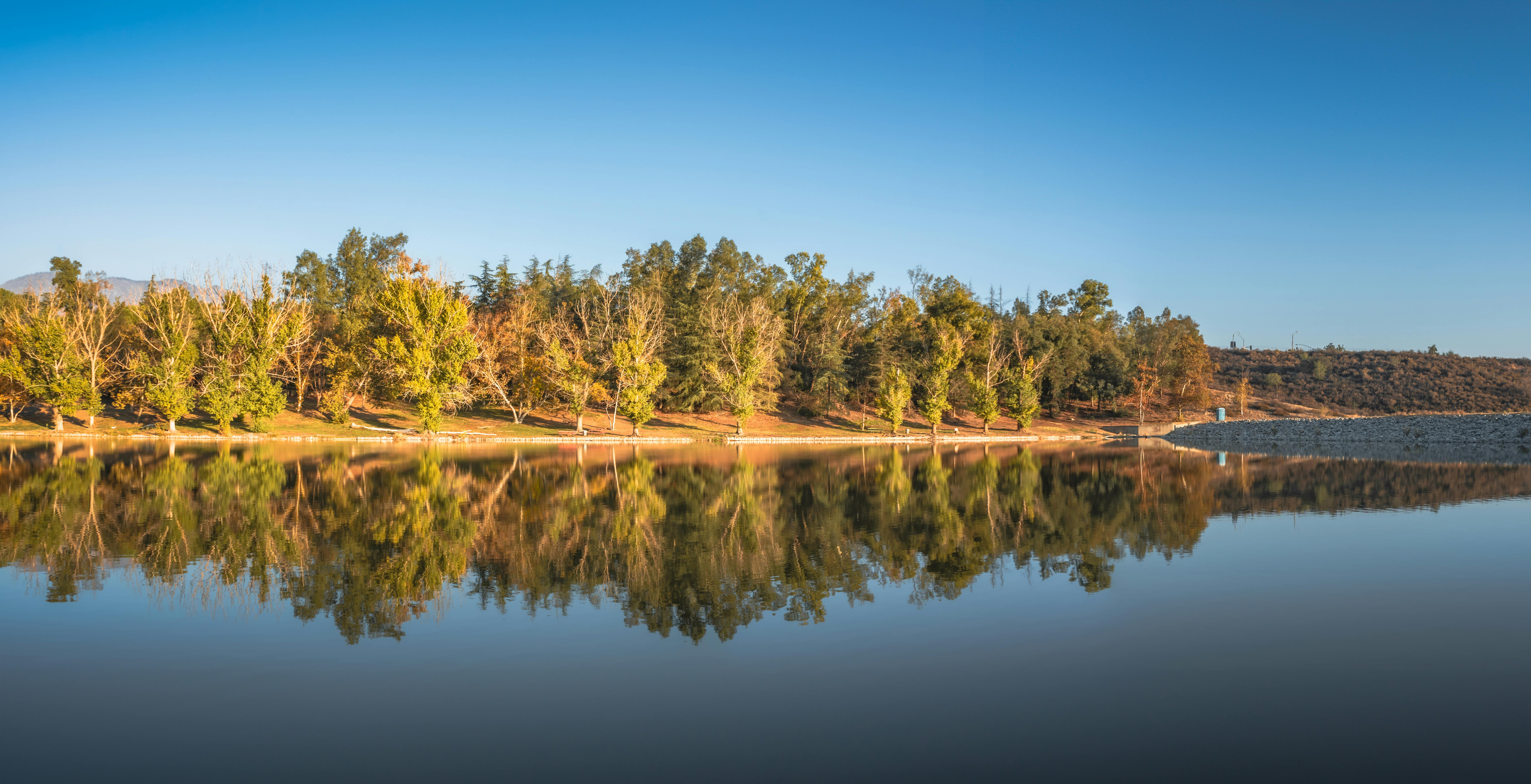 Socal Shareing Imag Photos, Download The BEST Free Socal Shareing Imag ...