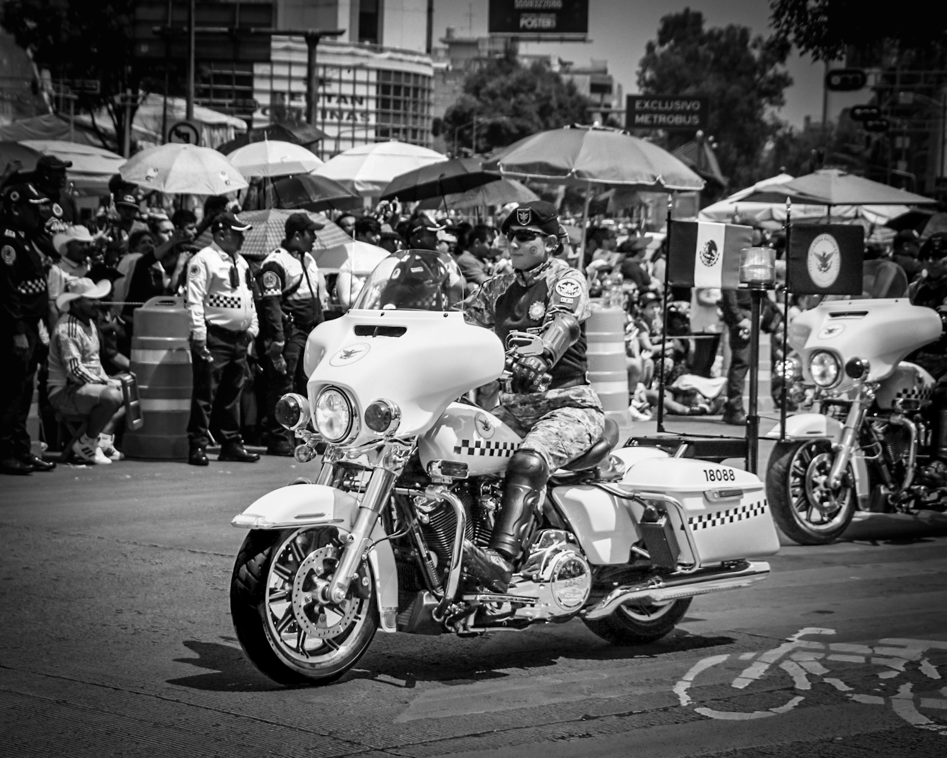 Police Motorcycle Parade in Urban Setting · Free Stock Photo
