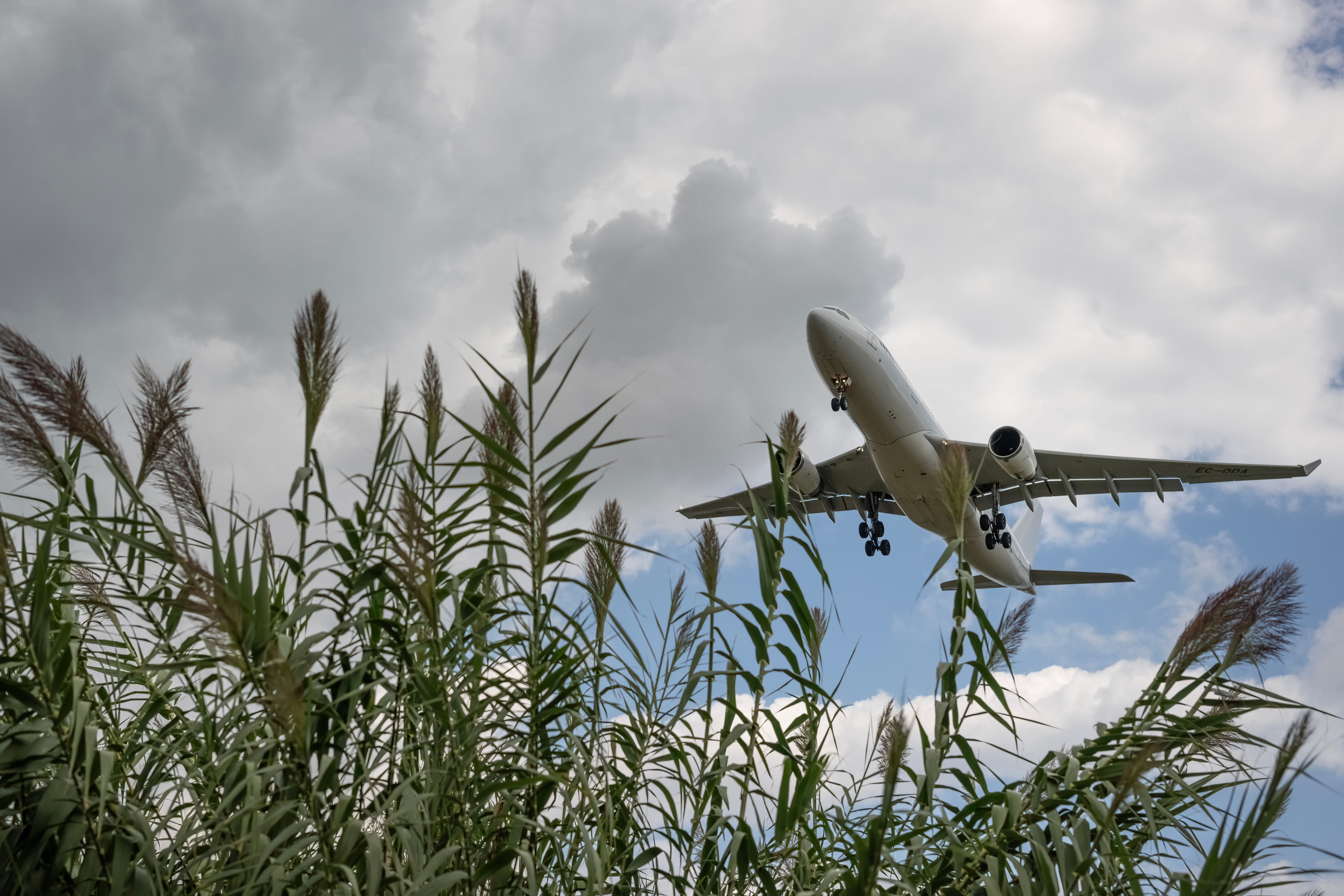 Airplane Landing Over Greenery in Barcelona · Free Stock Photo