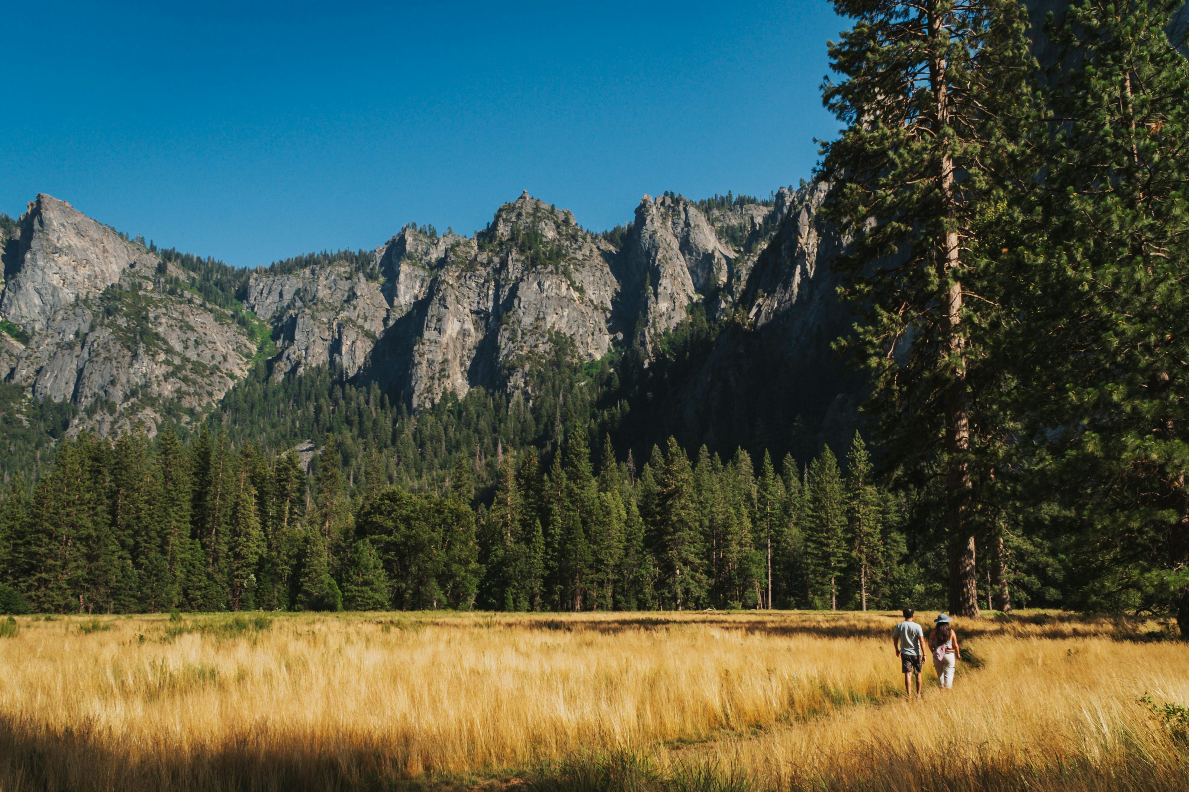 Scenic Walk in Yosemite Valley National Park · Free Stock Photo