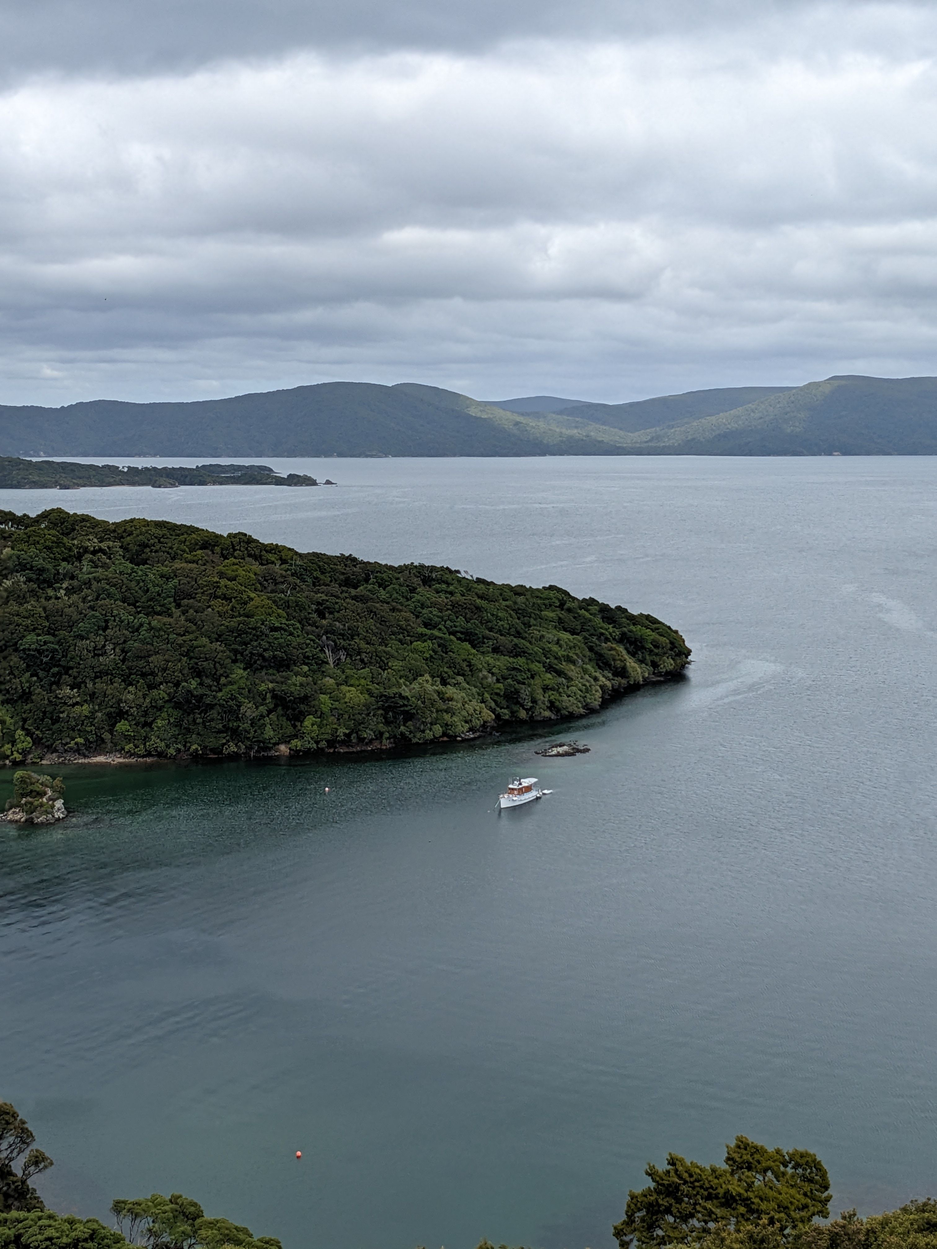 Scenic Coastal View with Boat in New Zealand · Free Stock Photo