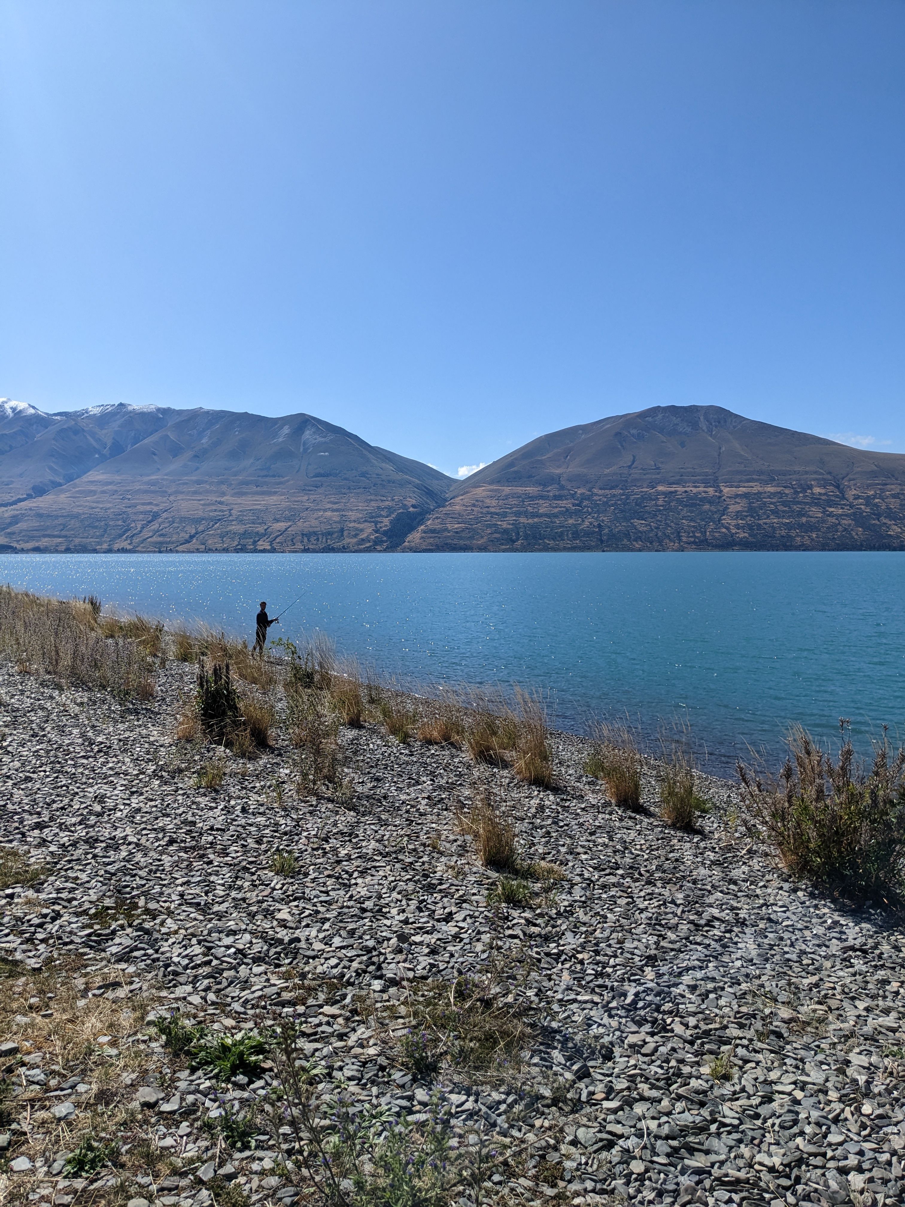 Serene Lake Fishing in New Zealand Landscape · Free Stock Photo