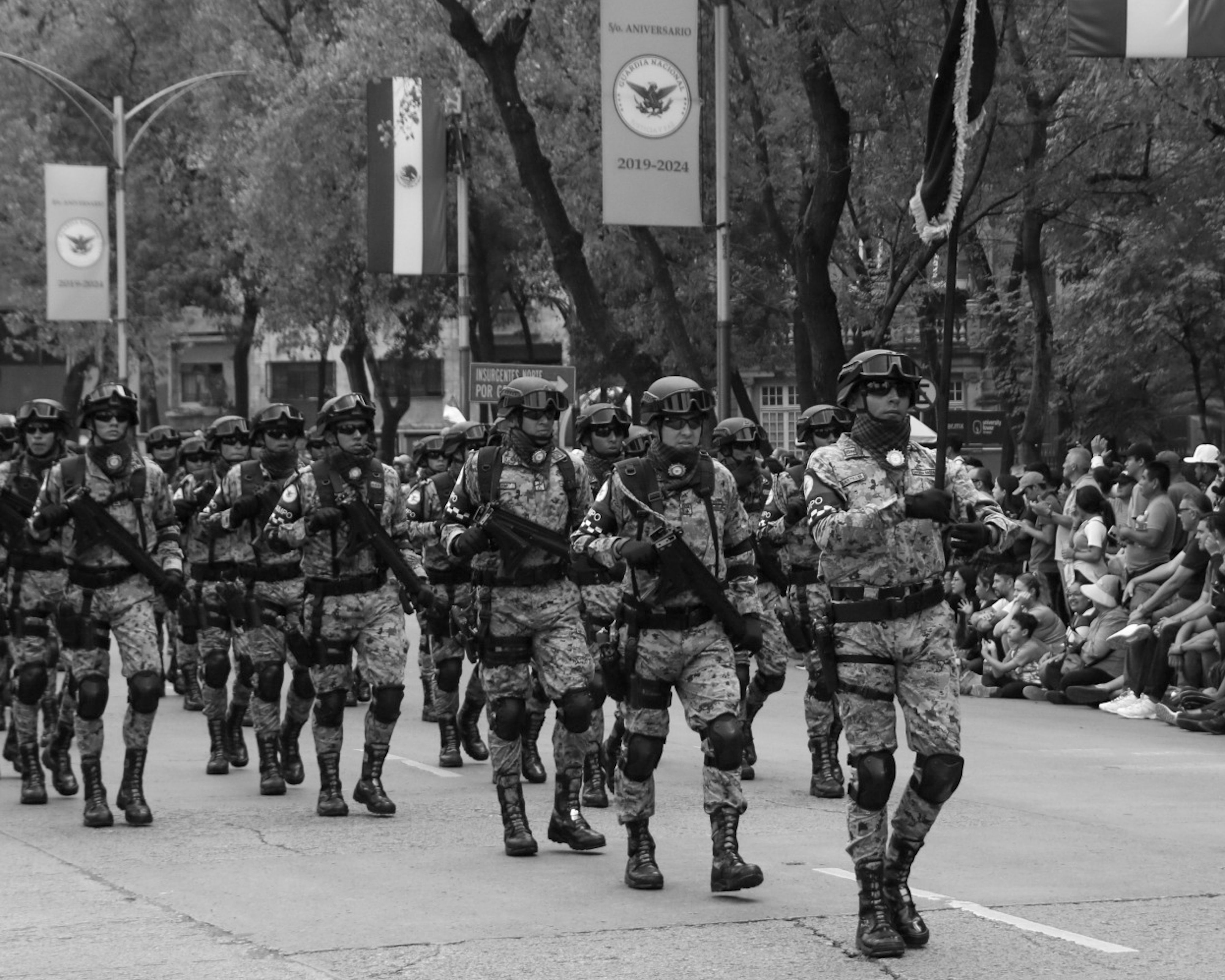 Mexican Army Soldiers in Military Parade · Free Stock Photo