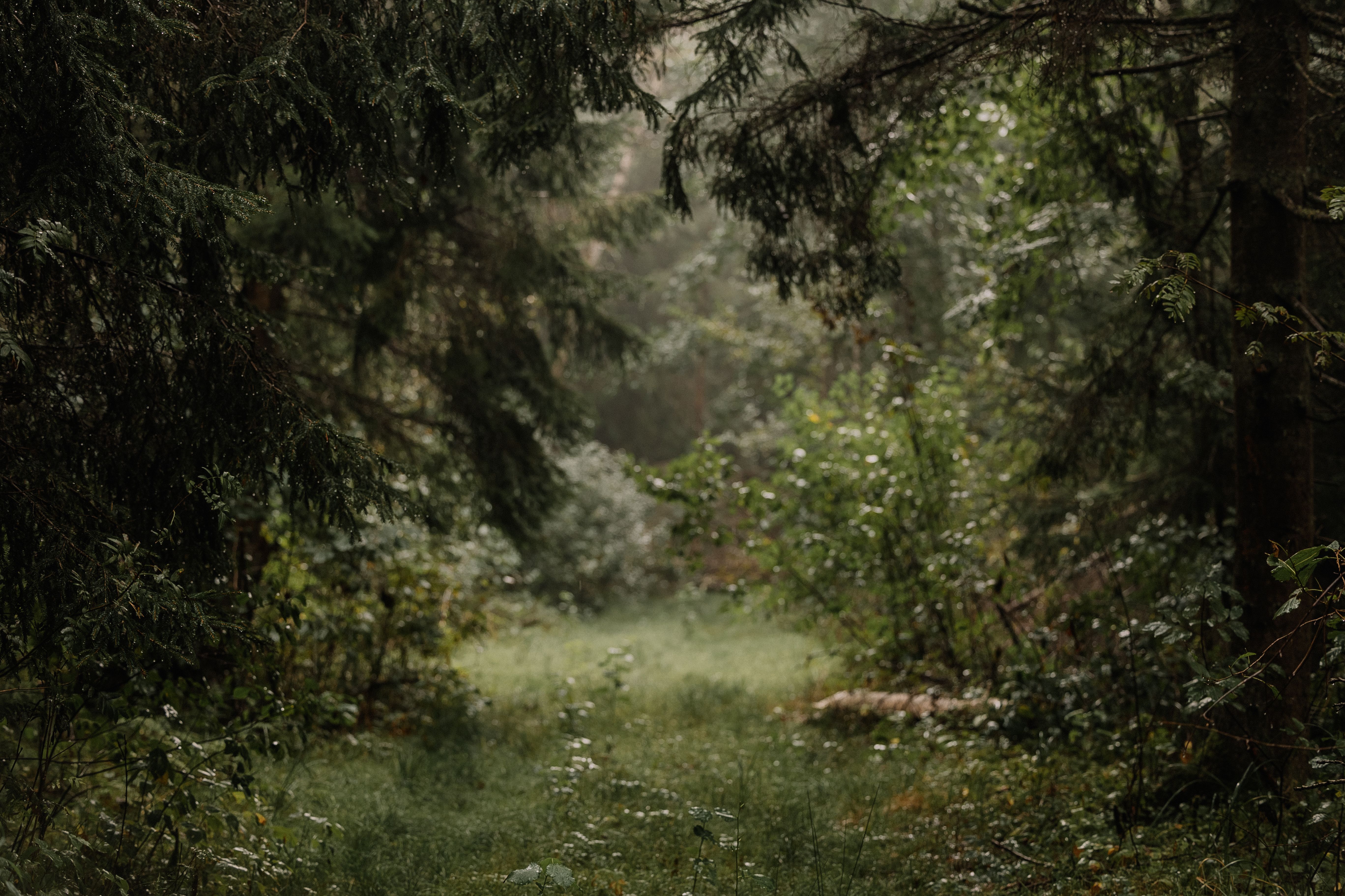 Environment Beauty Photos, Download The BEST Free Environment Beauty ...