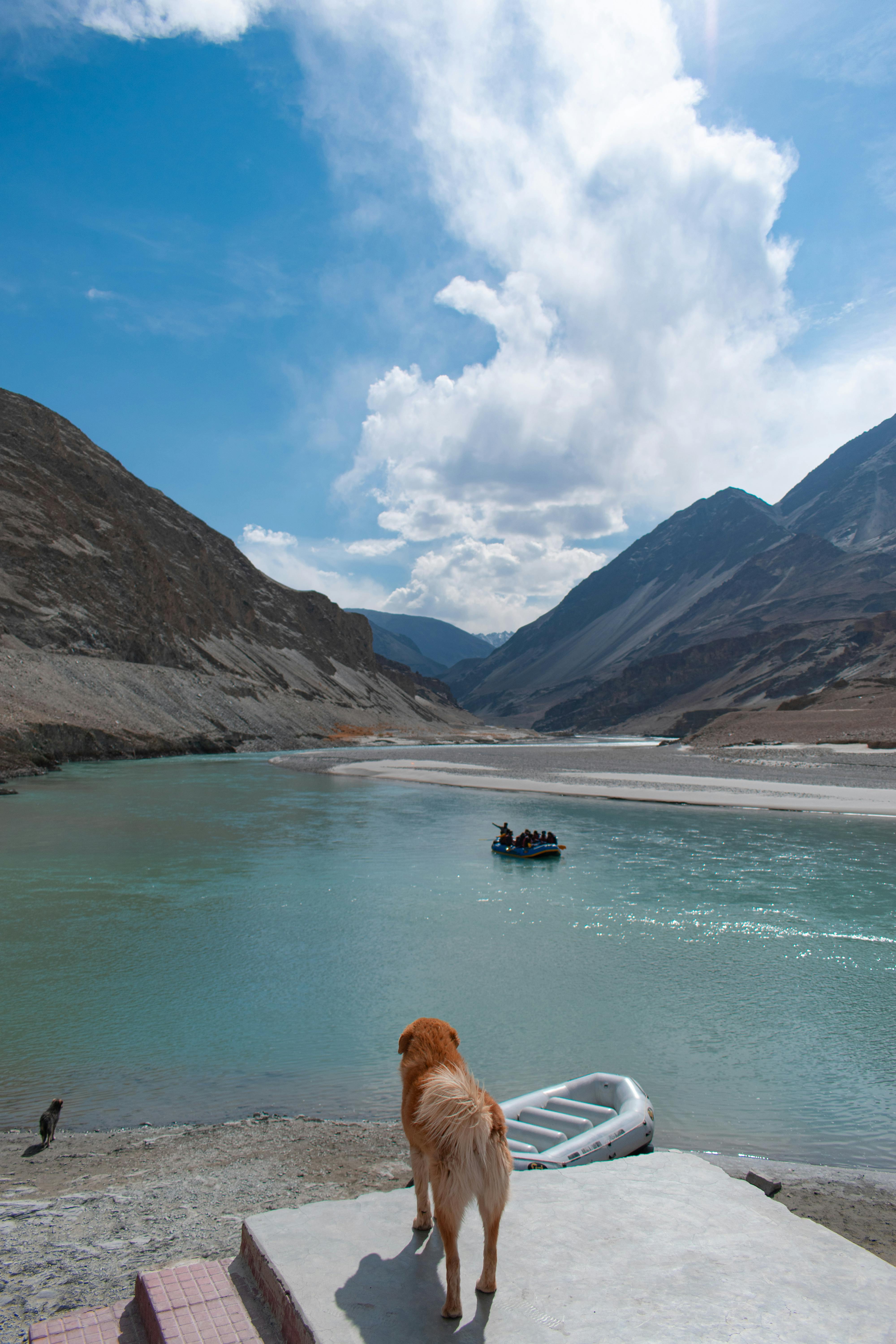 Ide Photos, Download The BEST Free Ide Stock Photos & HD Images