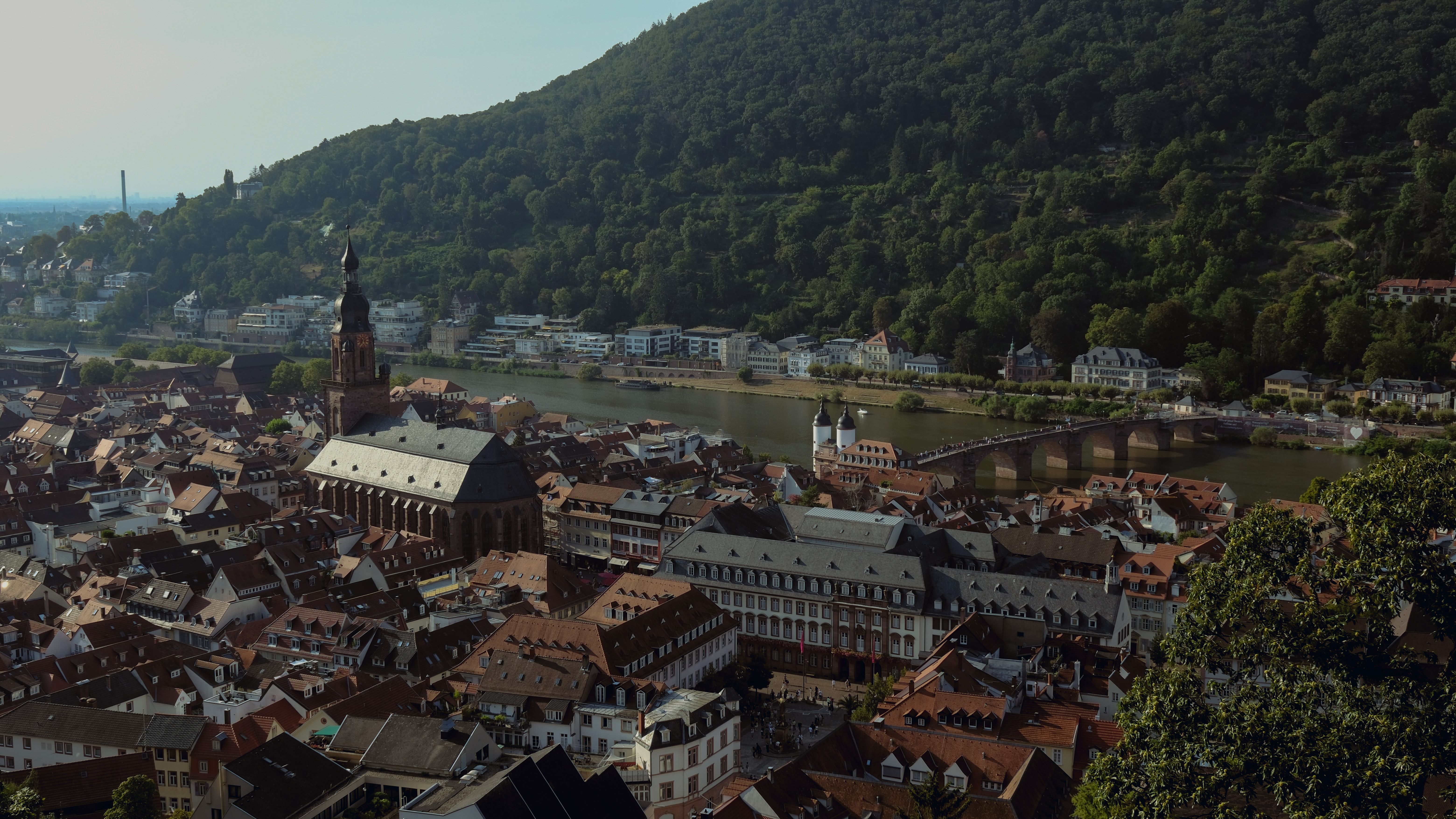 Aerial View of Heidelberg's Historic Architecture · Free Stock Photo
