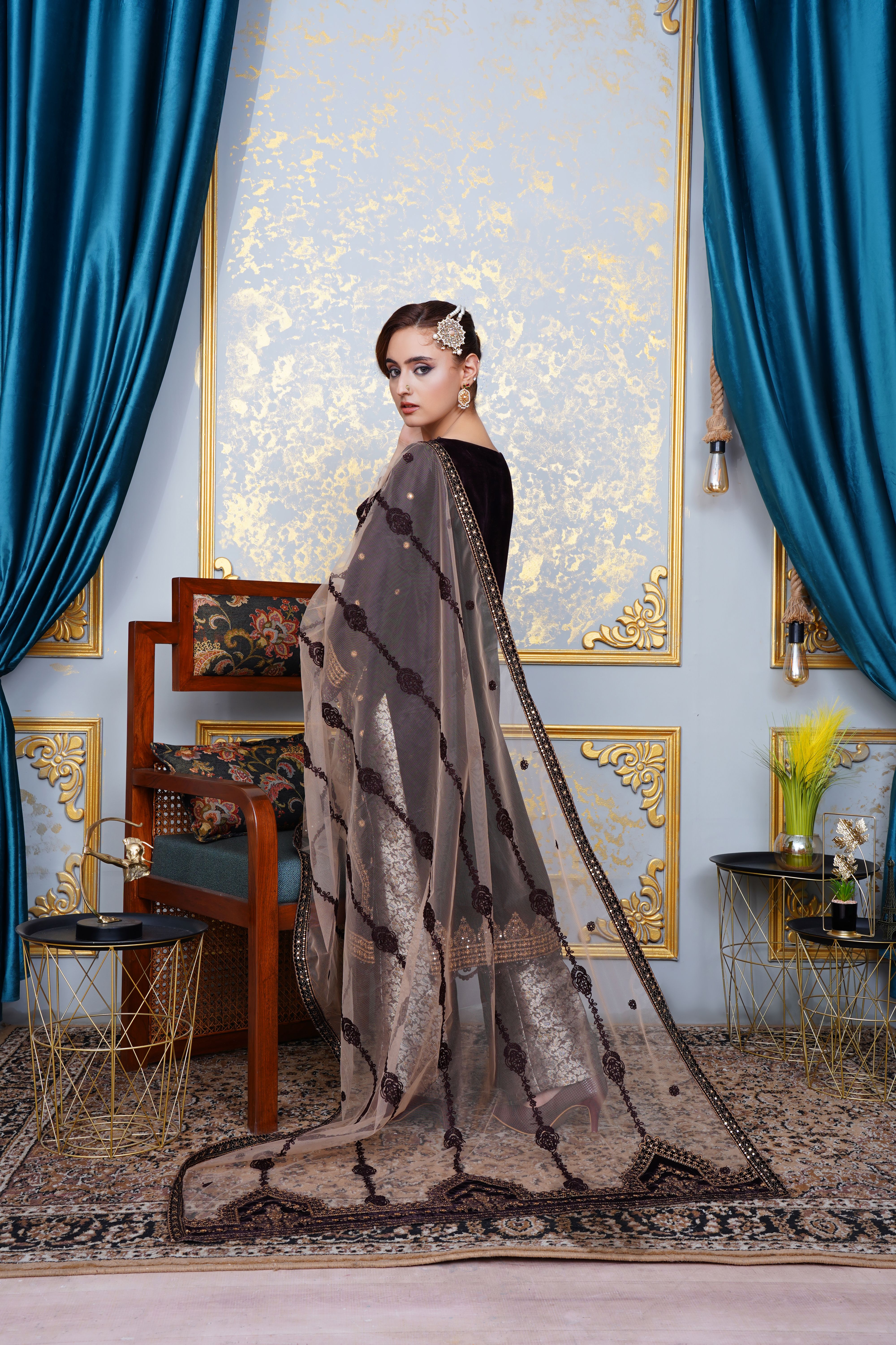 Elegant Model in Luxurious Traditional Sari · Free Stock Photo