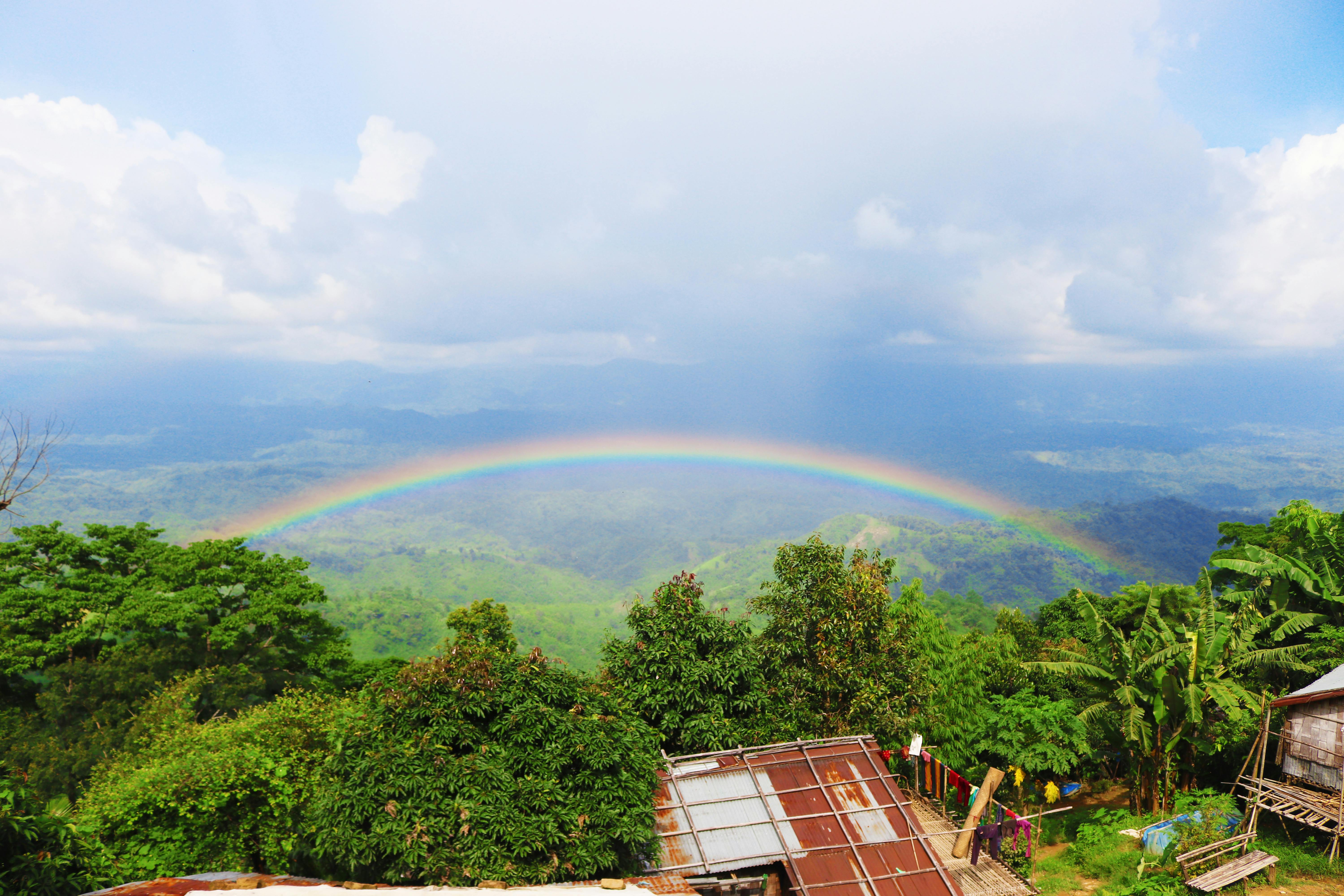Green Trees Under a Rainbow · Free Stock Photo