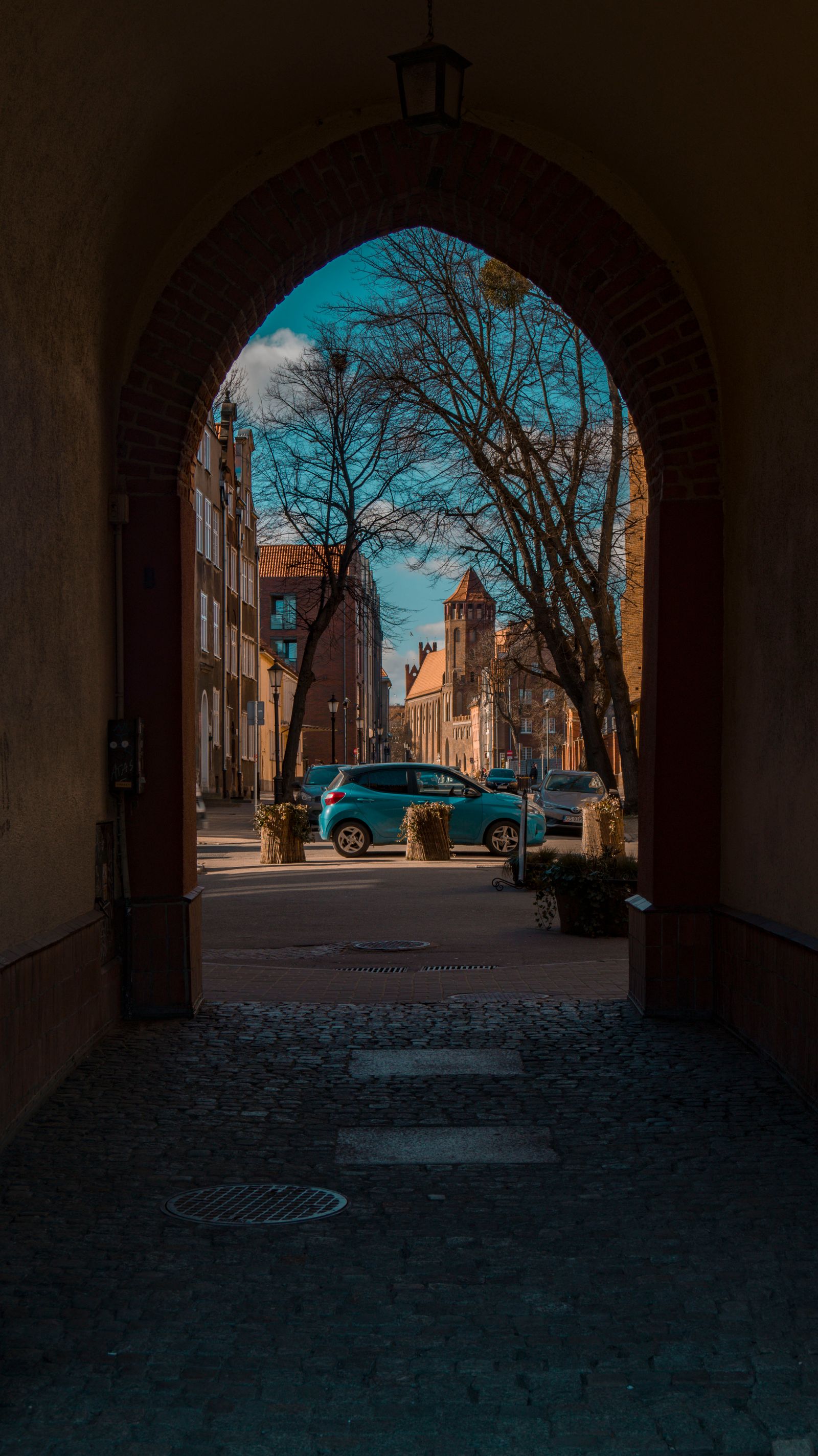 Street+View+With+Trees Photos, Download The BEST Free Street+View+With ...