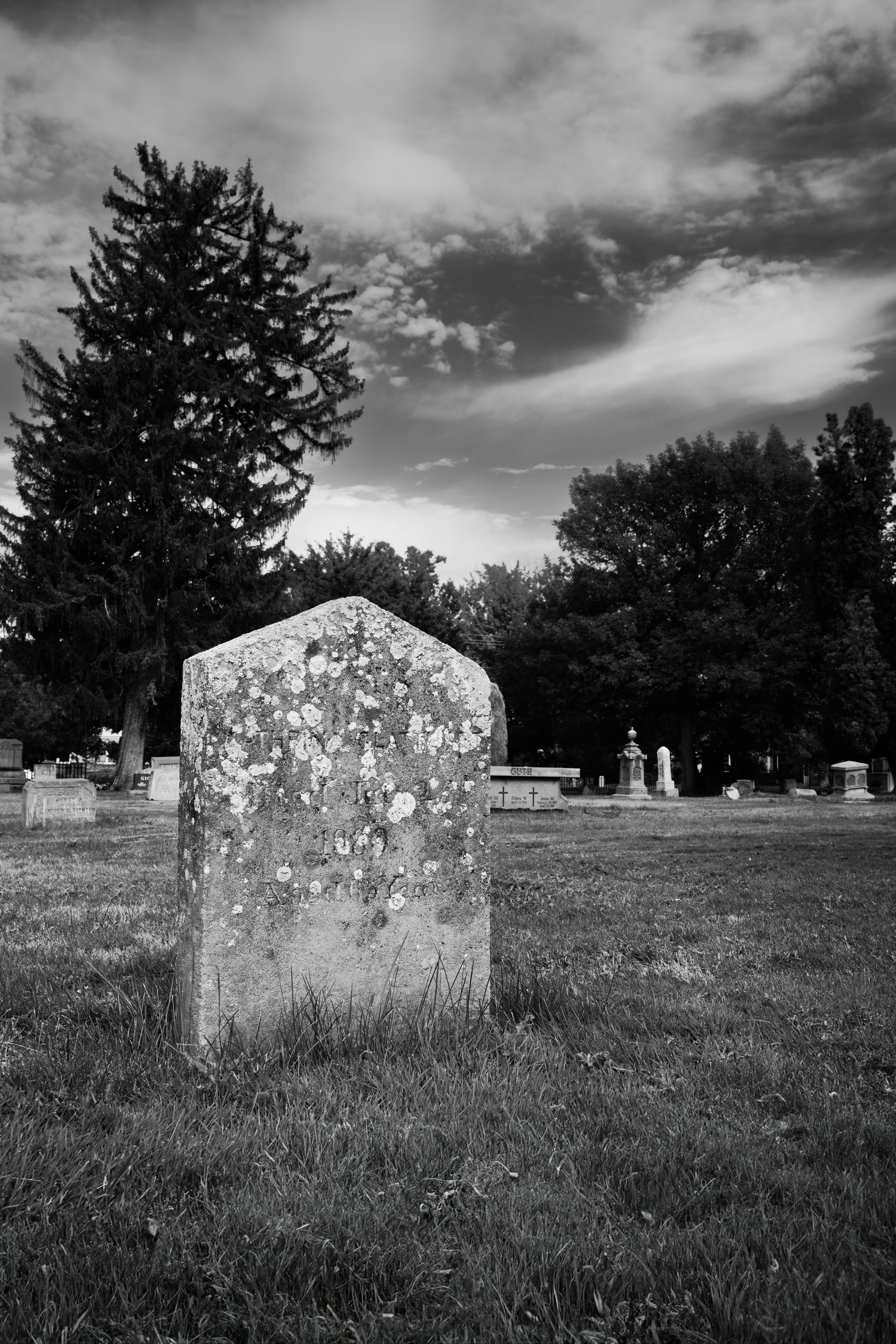 Old Weathered Tombstone in Serene Cemetery · Free Stock Photo
