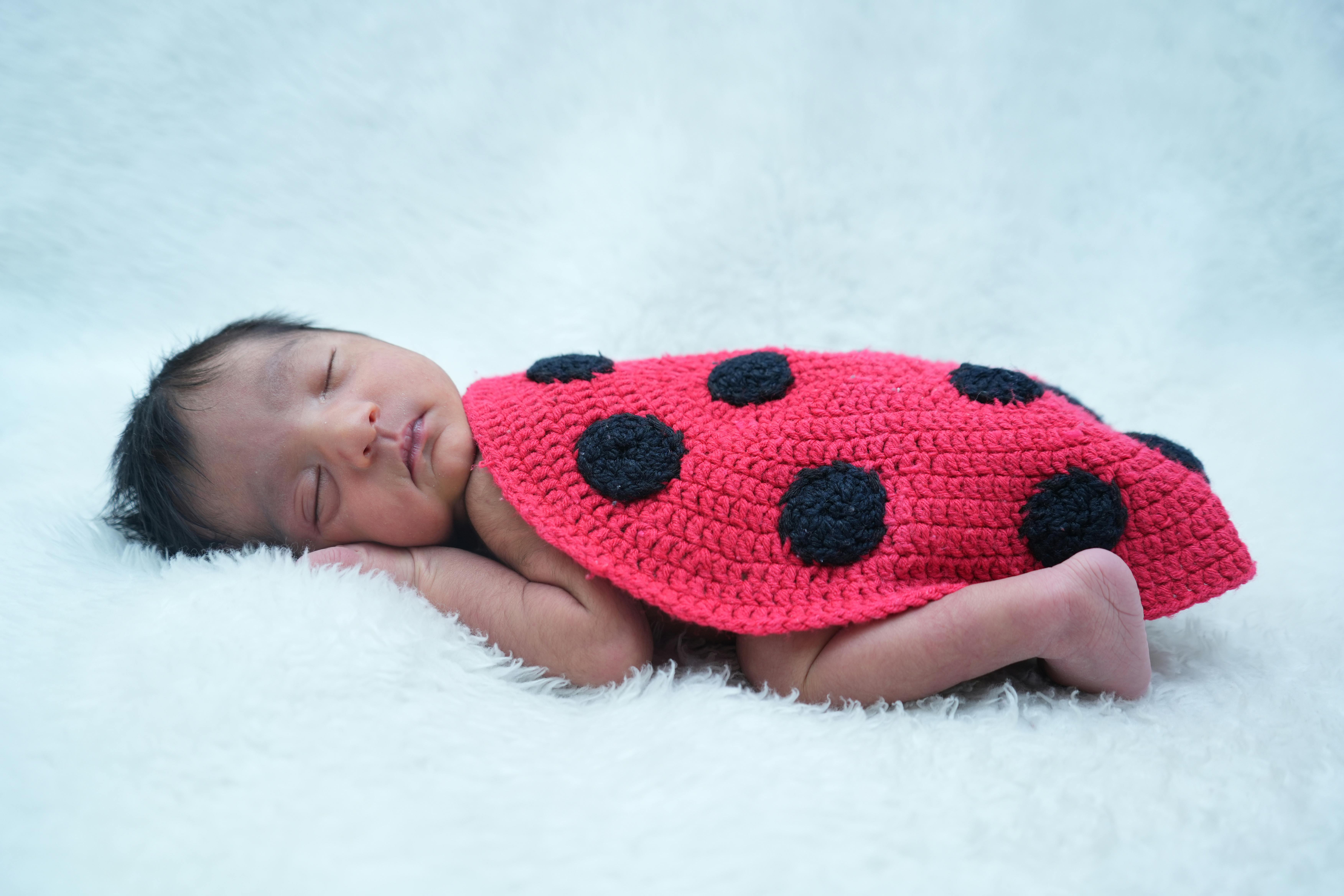 Adorable Newborn Sleeping in Ladybug Costume · Free Stock Photo