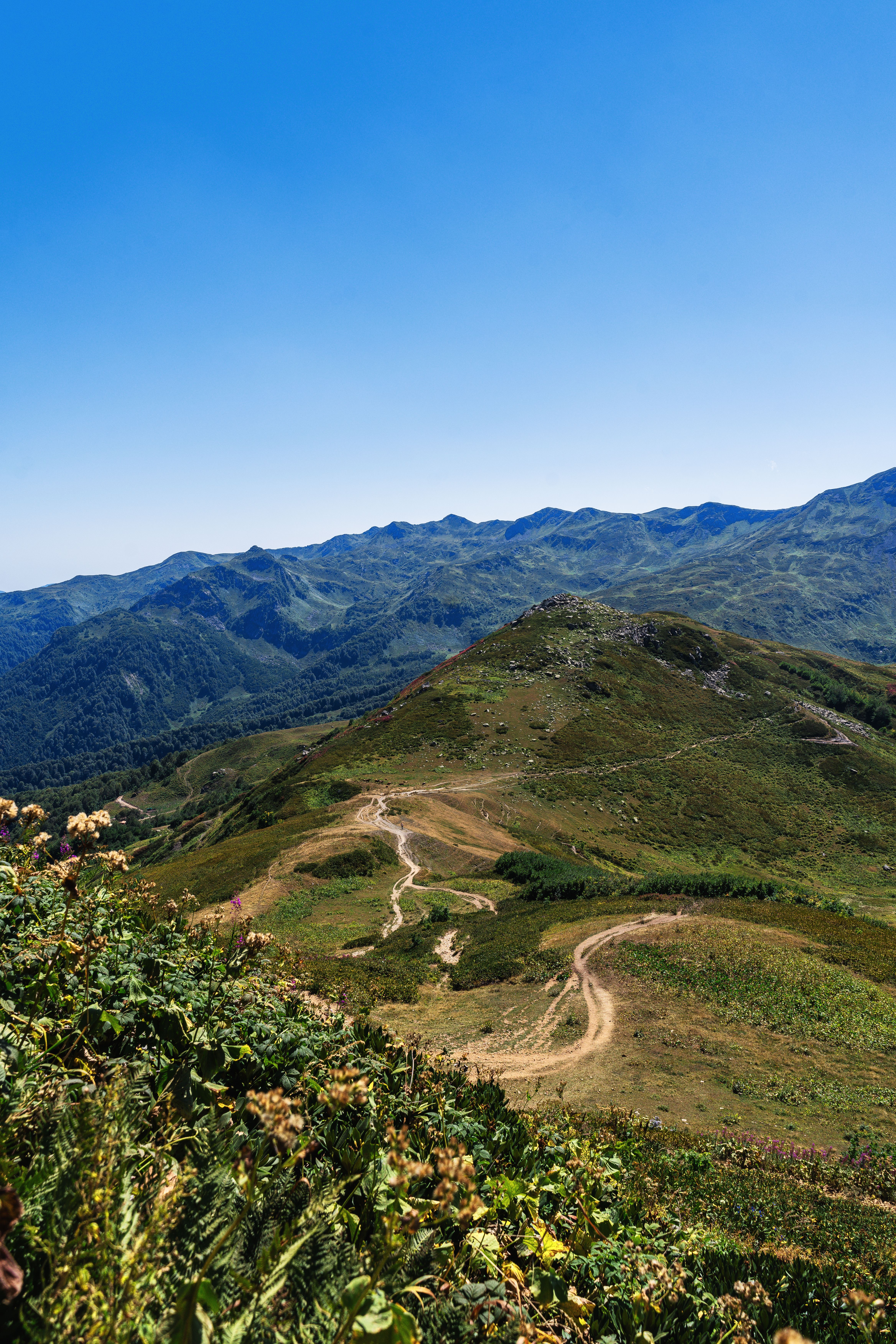 Scenic Mountain Trail View in Гагра · Free Stock Photo