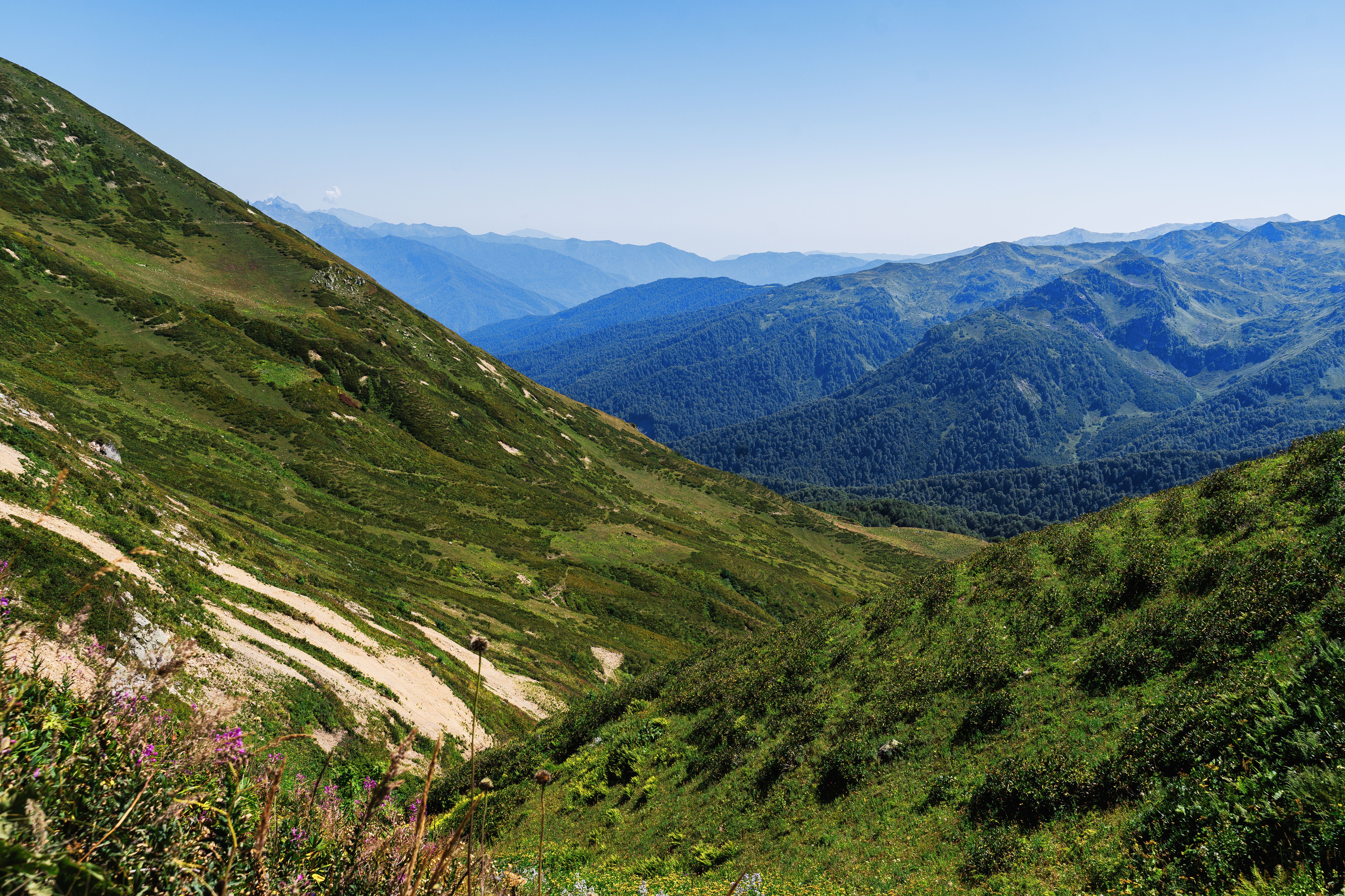 Breathtaking Mountain View in Gagra · Free Stock Photo