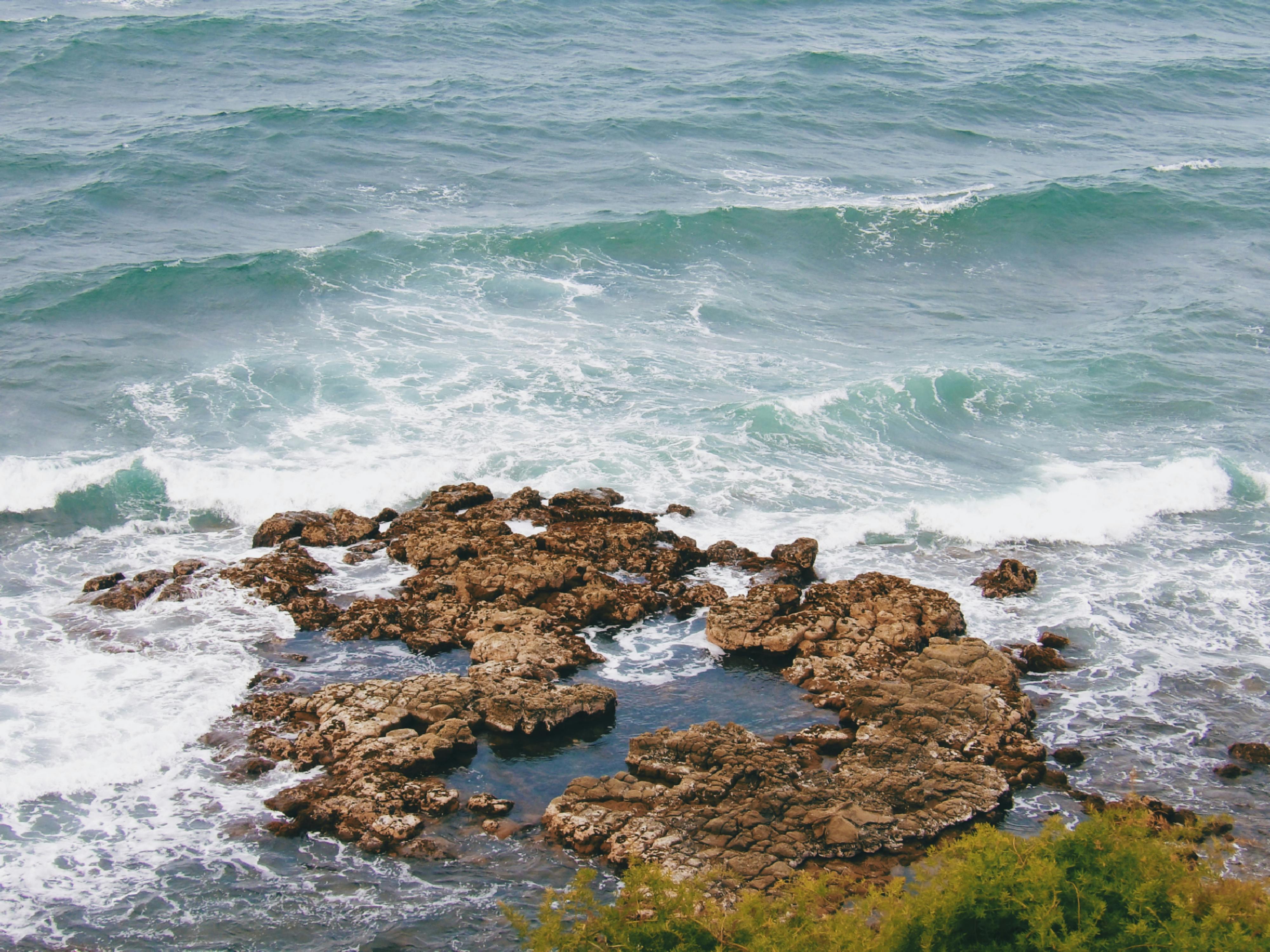 Swift Waves Photos, Download The BEST Free Swift Waves Stock Photos ...