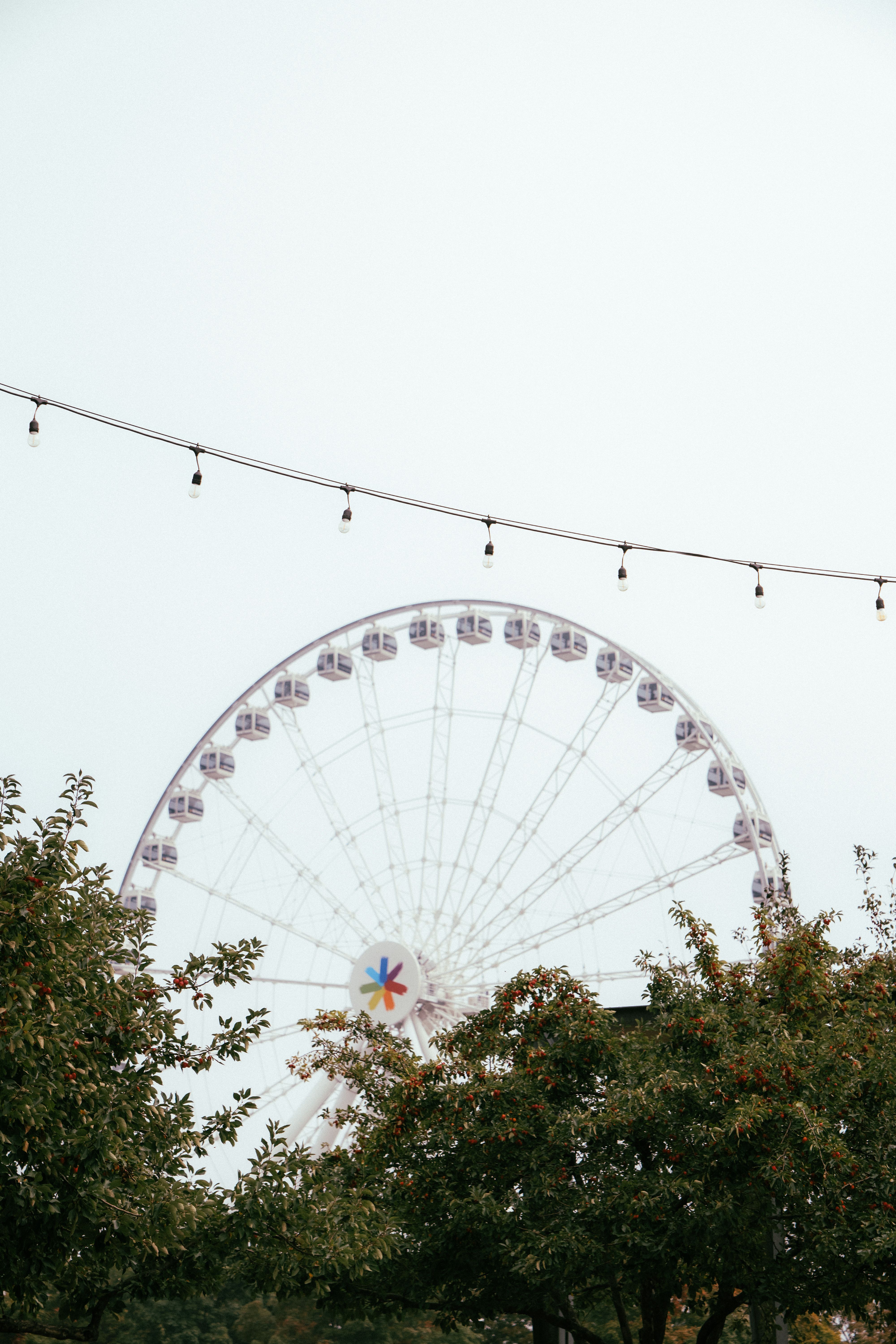Quebec Ferris Wheel with Tree Foreground · Free Stock Photo