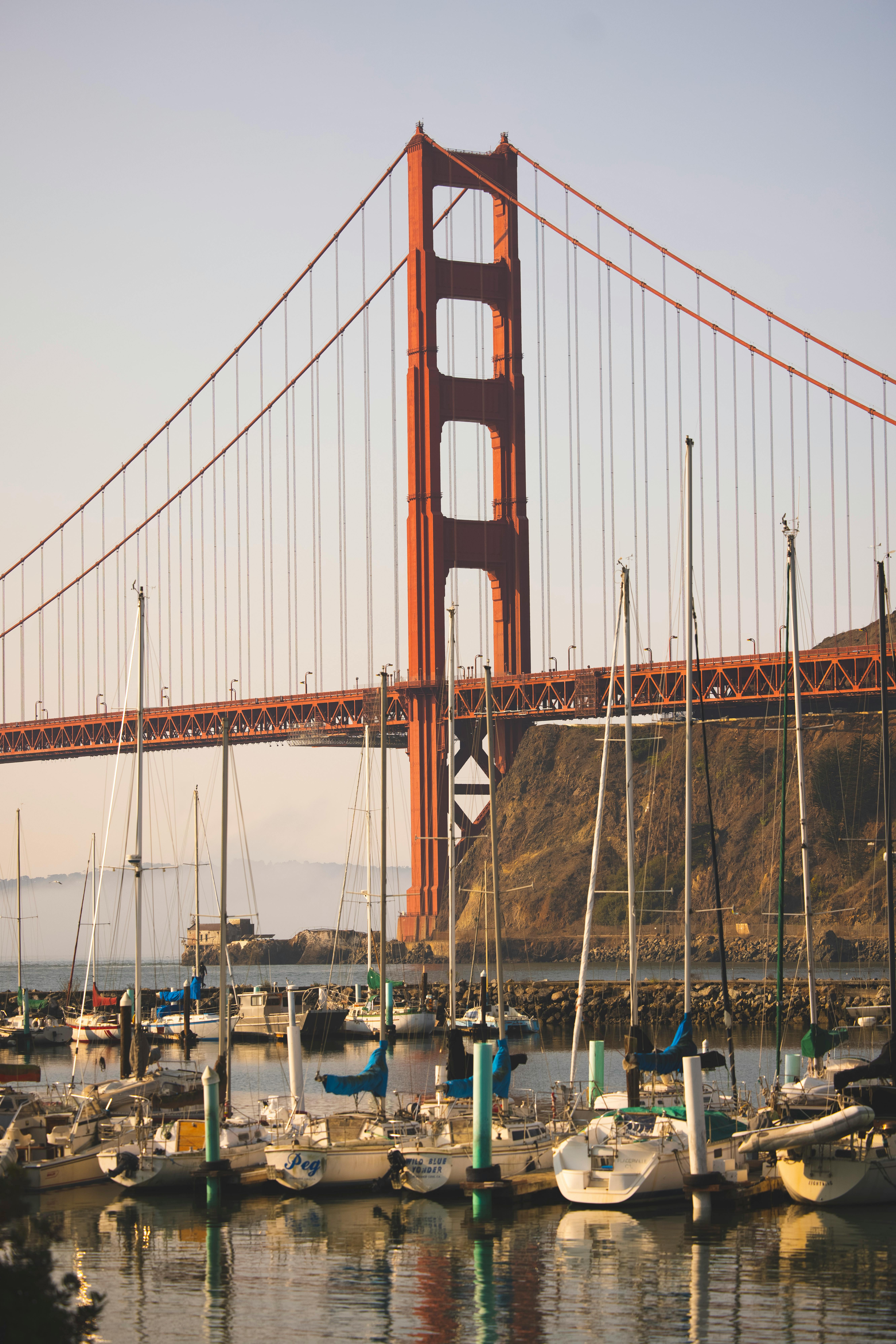 San Francisco Bridge · Free Stock Photo