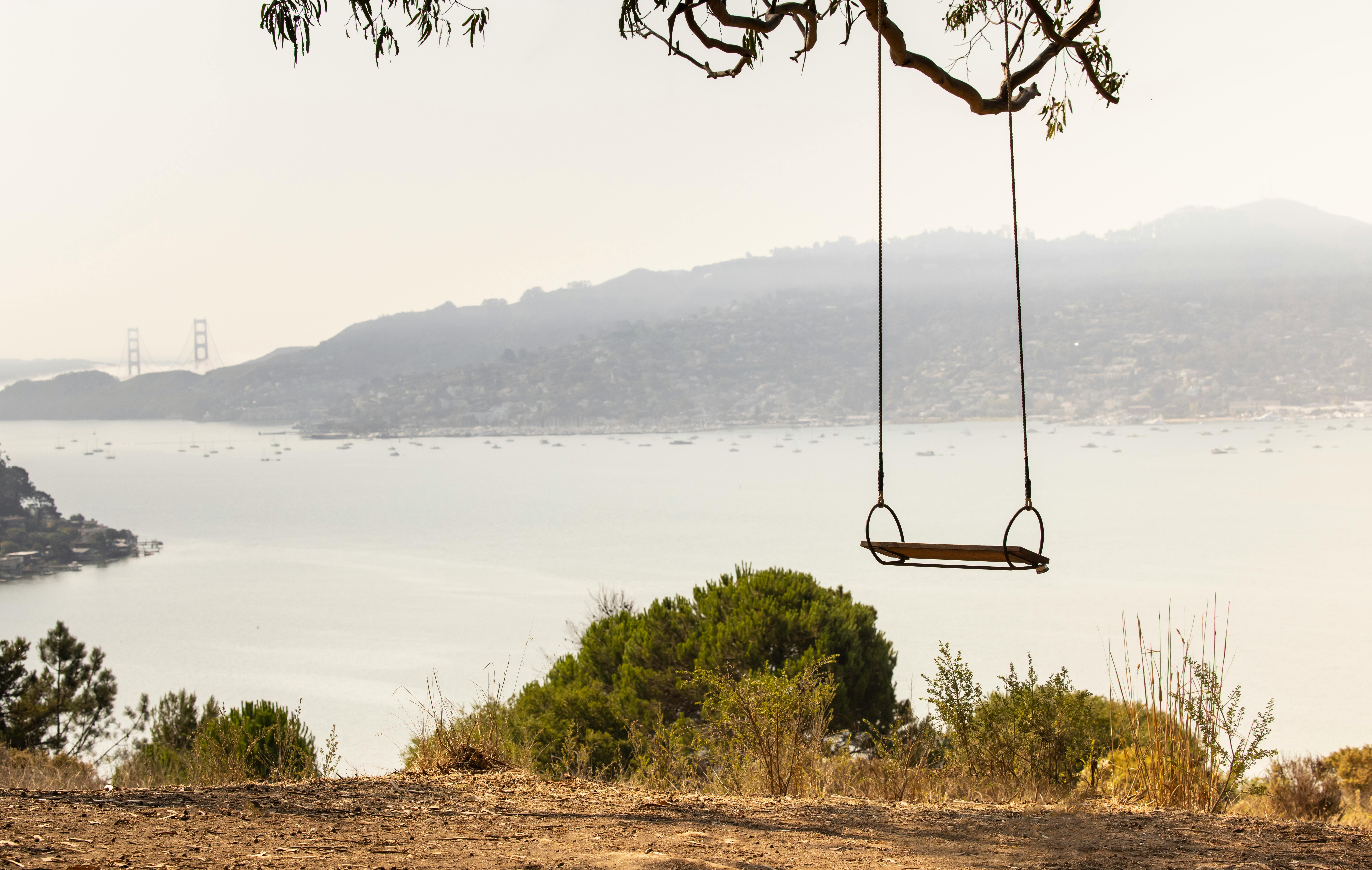 Swing Overlooking Golden Gate Bridge at Dawn · Free Stock Photo