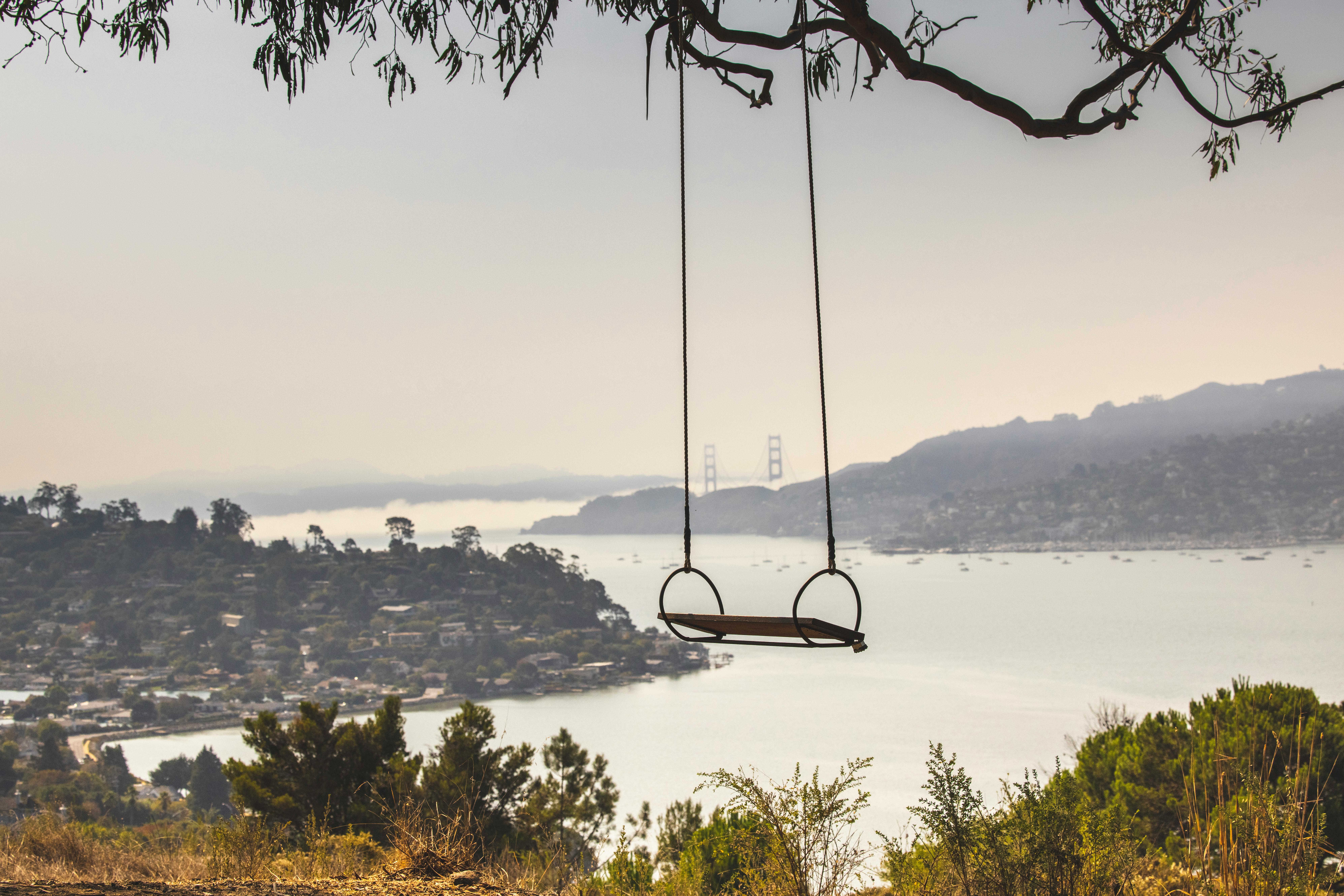 Serene Hillside Swing Overlooking Golden Gate Bridge · Free Stock Photo